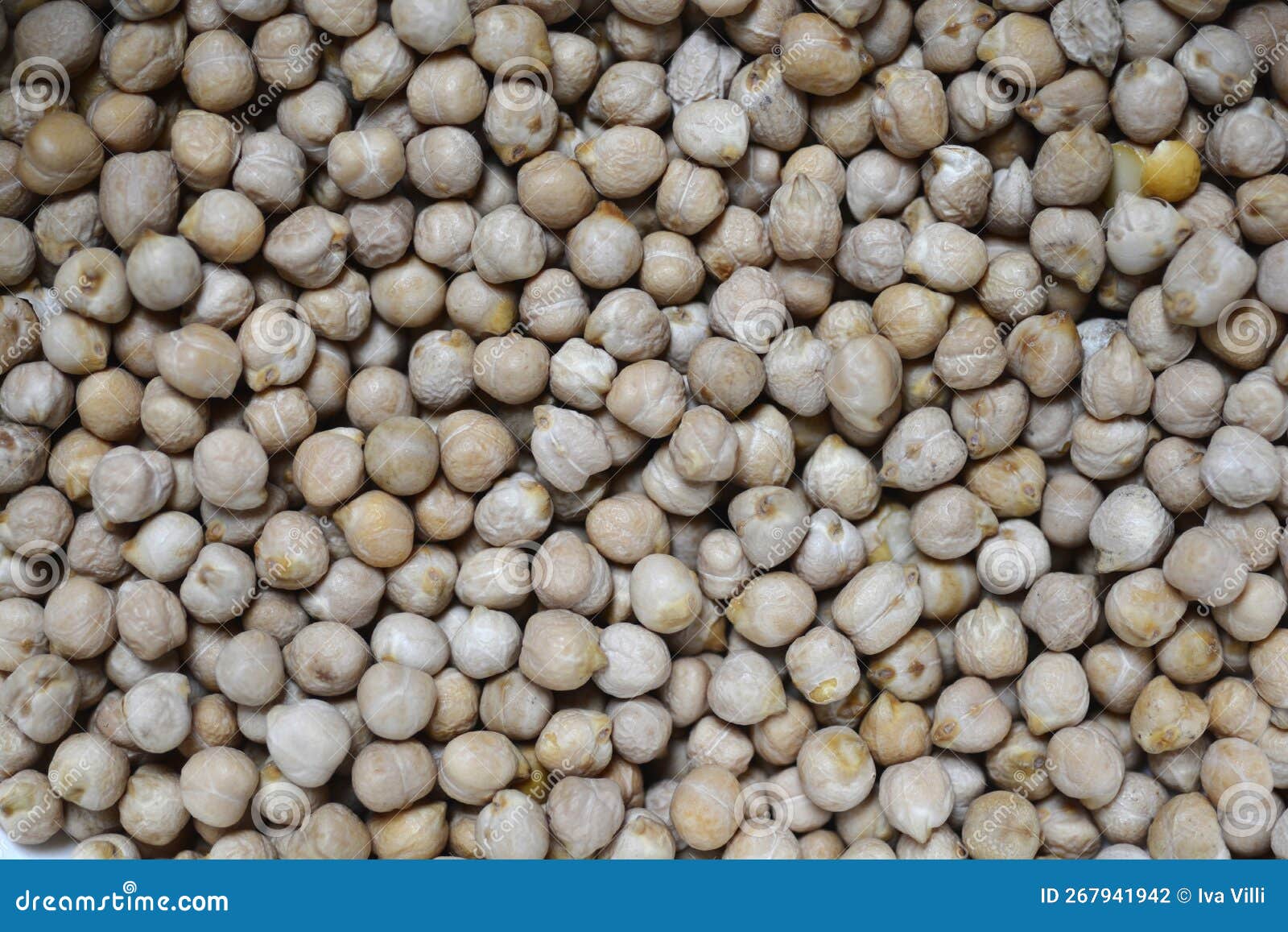 Dry chikpeas stock photo. Image of nutrition, vegetarian - 267941942