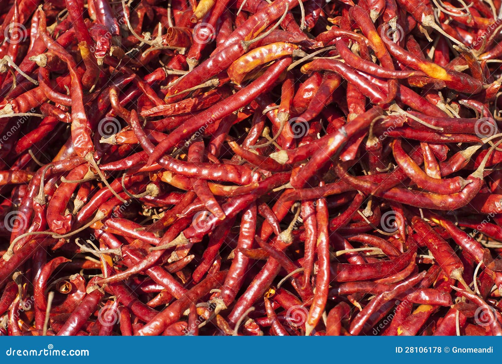 Dry chilli stock photo. Image of chilli, closeup, vegetable - 28106178