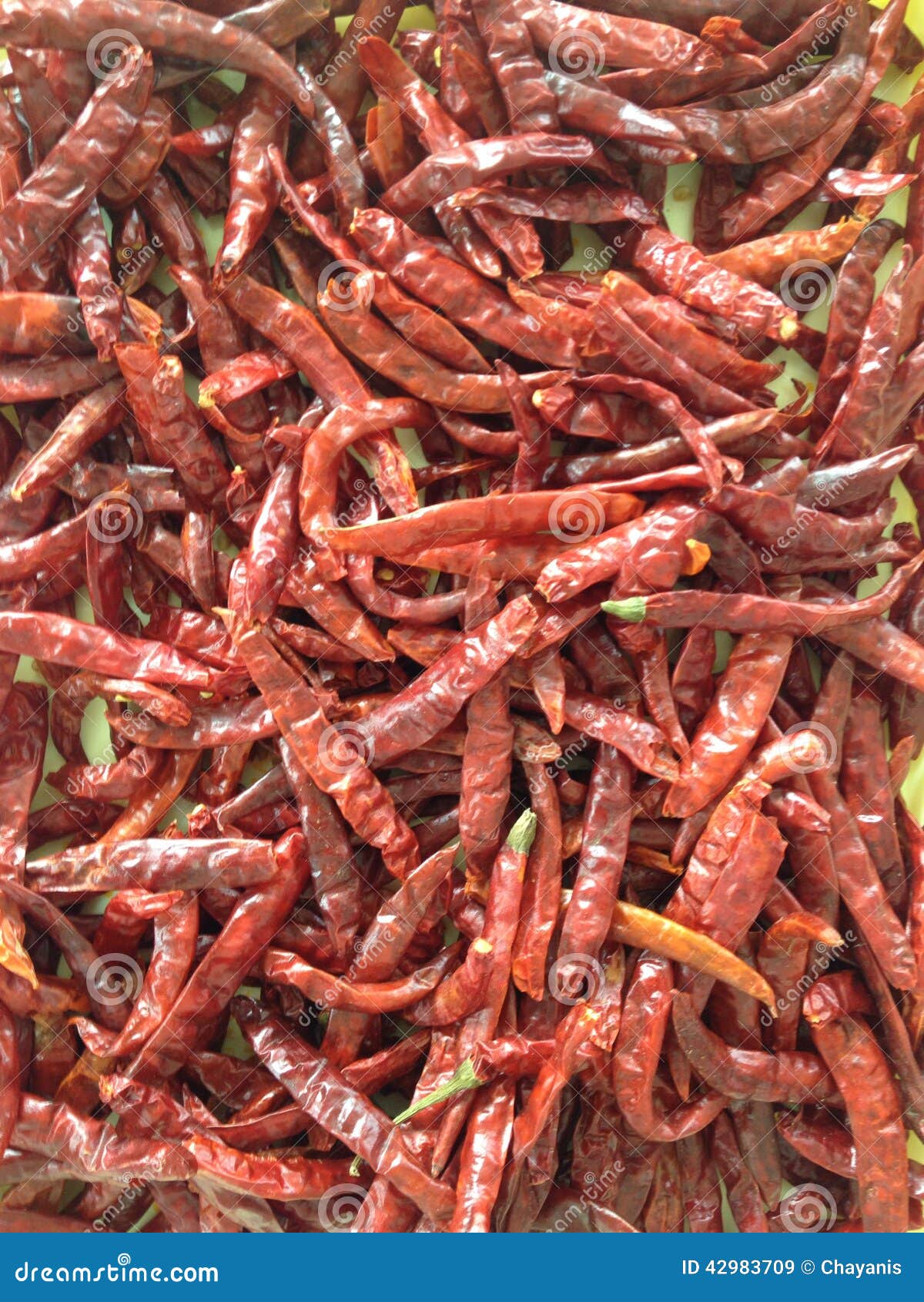 Dry chilli stock image. Image of spices, pepper - 42983709