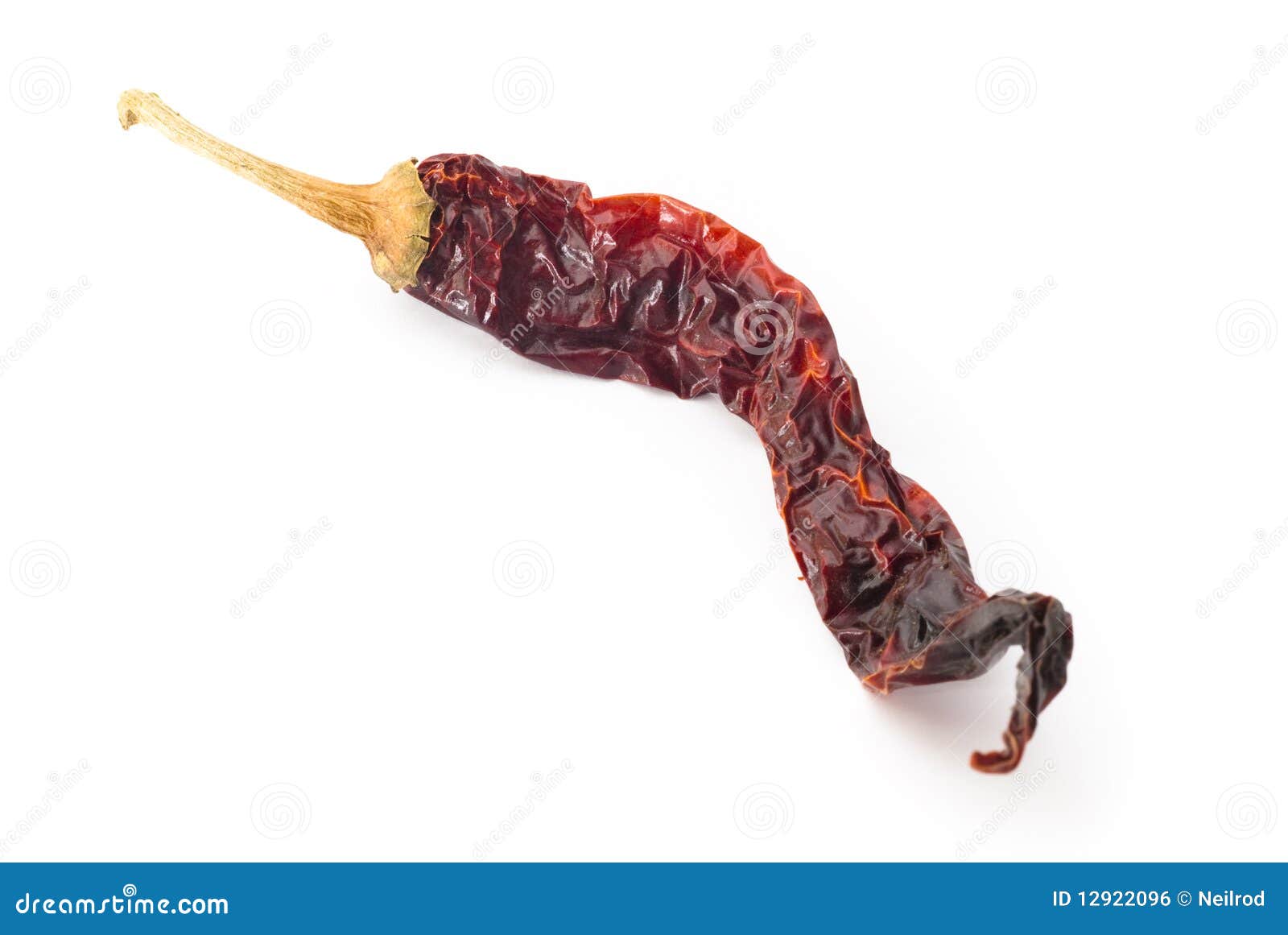 A dry chilly stock photo. Image of paprika, cayenne, heat - 12922096