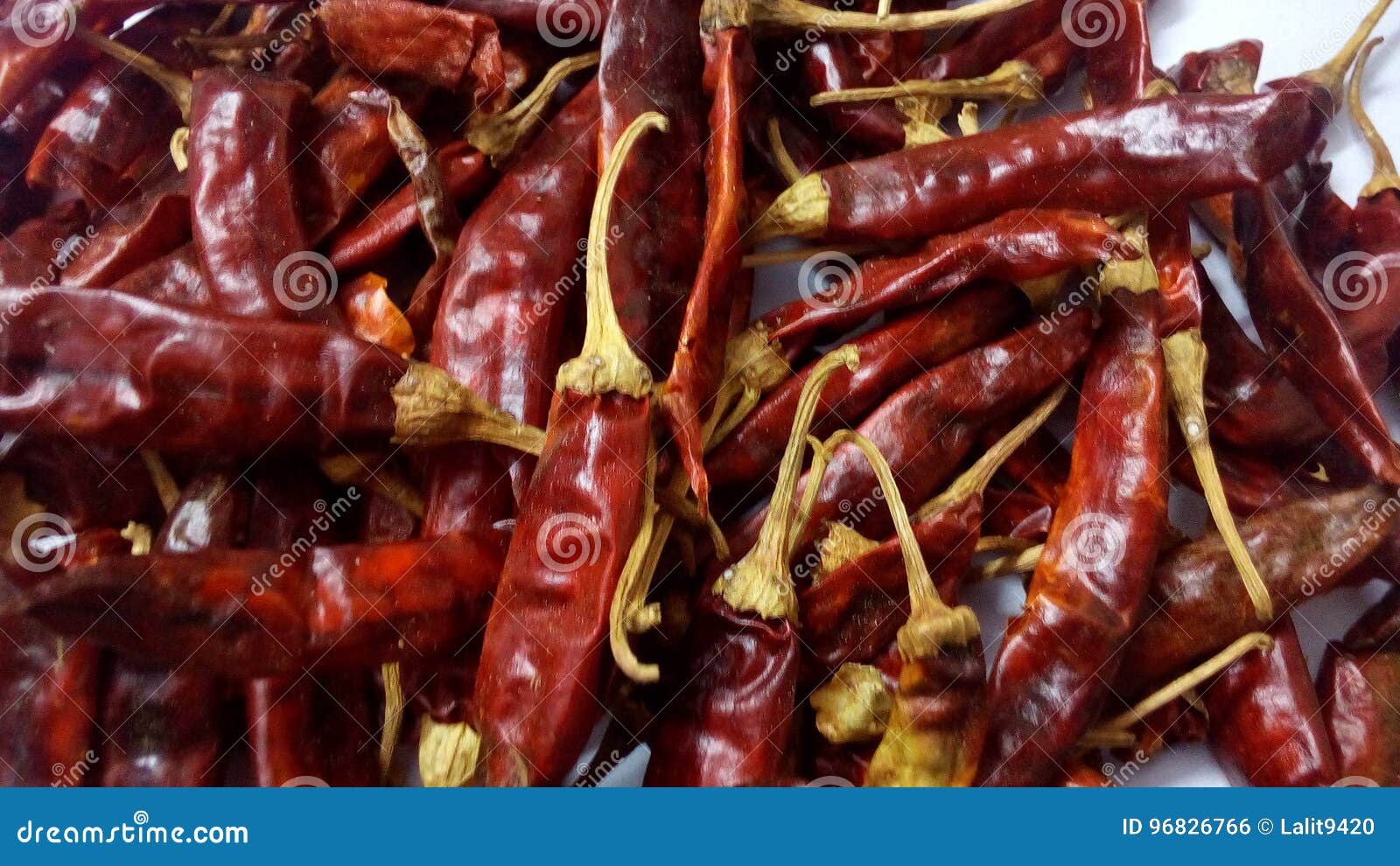 Dry chilly stock photo. Image of ingredient, food, chilly - 96826766