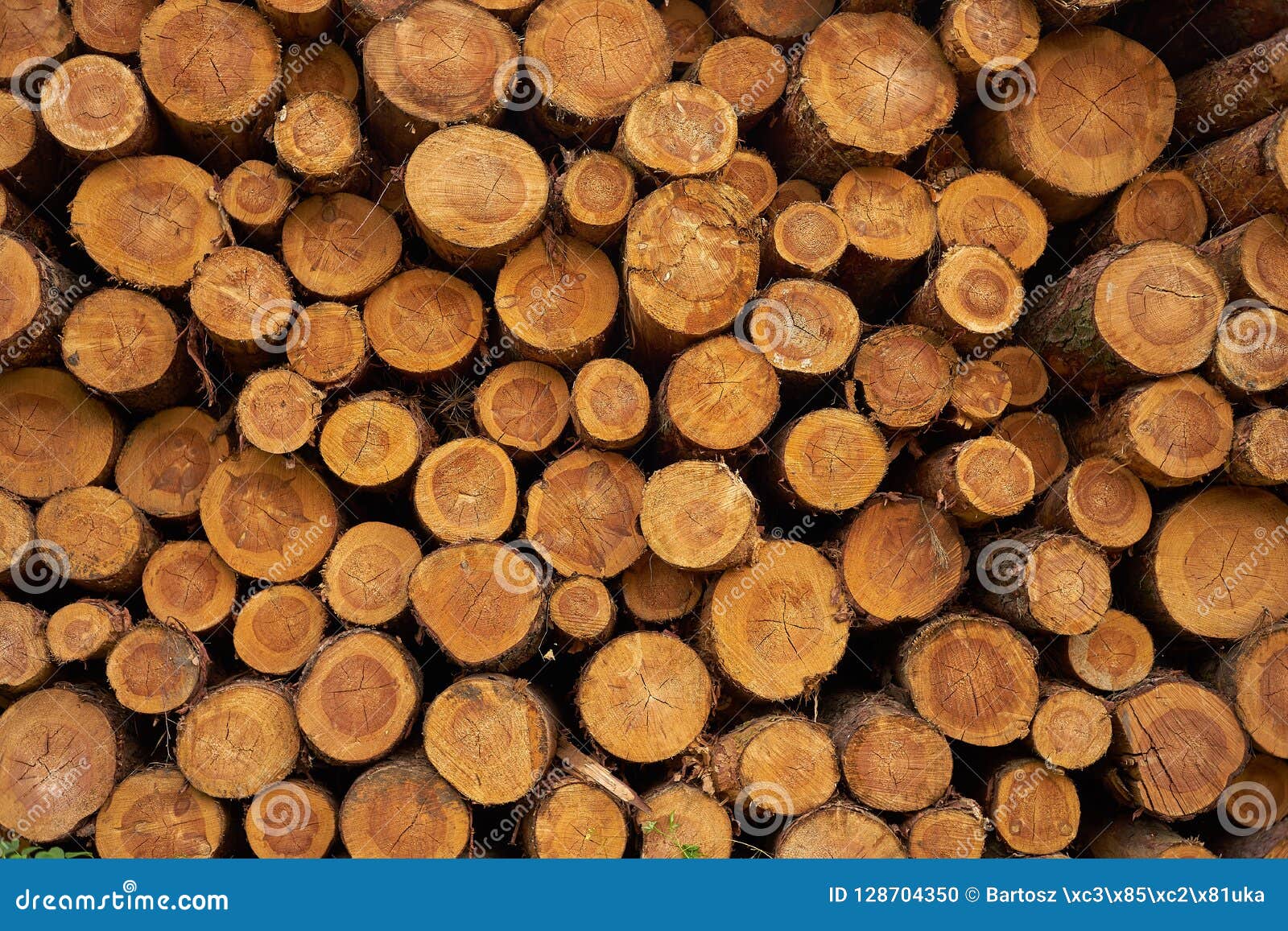 Dry Chopped Tree Logs Stacked on Top of Each Other. Stock Photo - Image ...