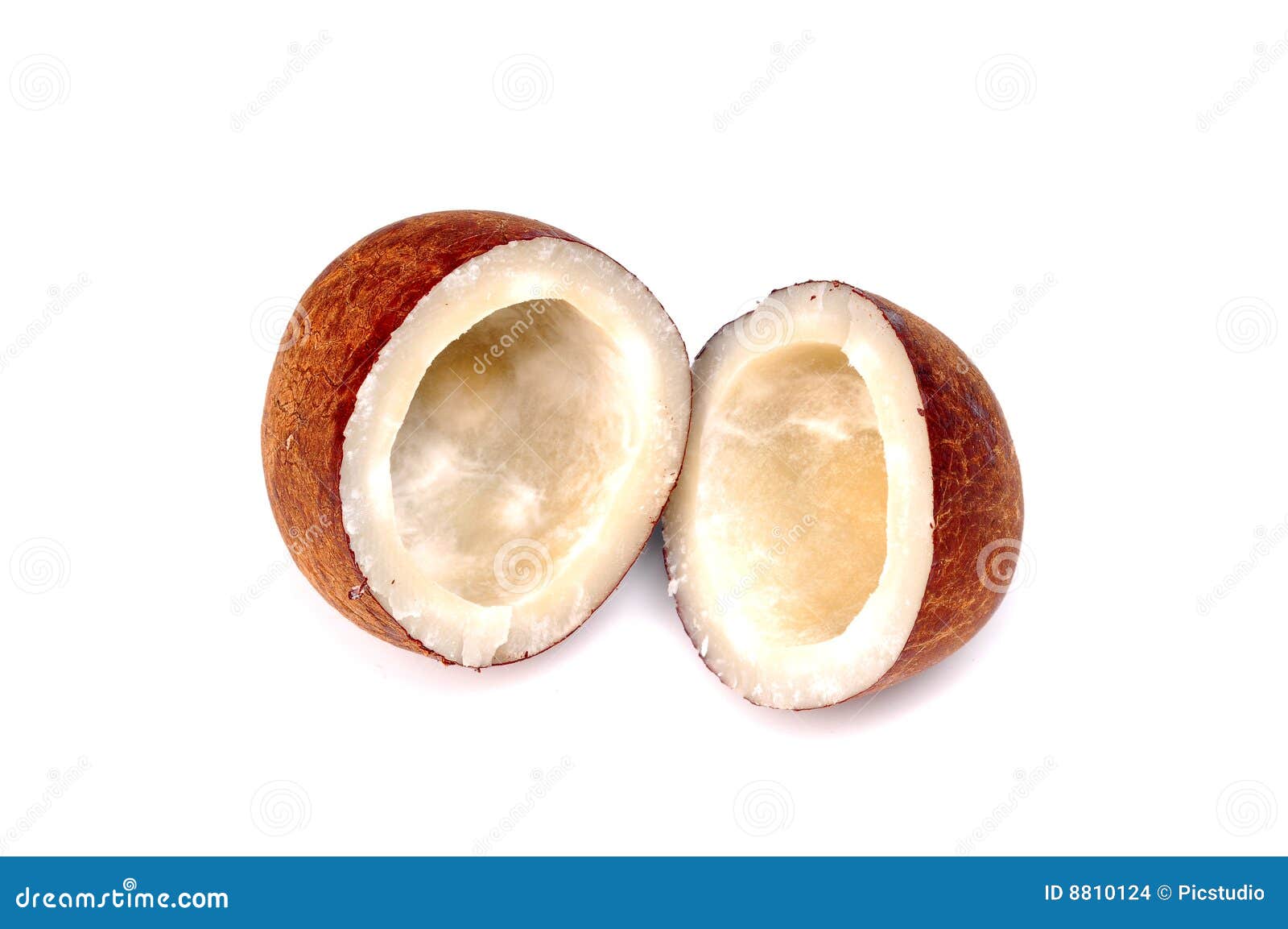 Dry coconut stock photo. Image of isolated, health, healthy - 8810124