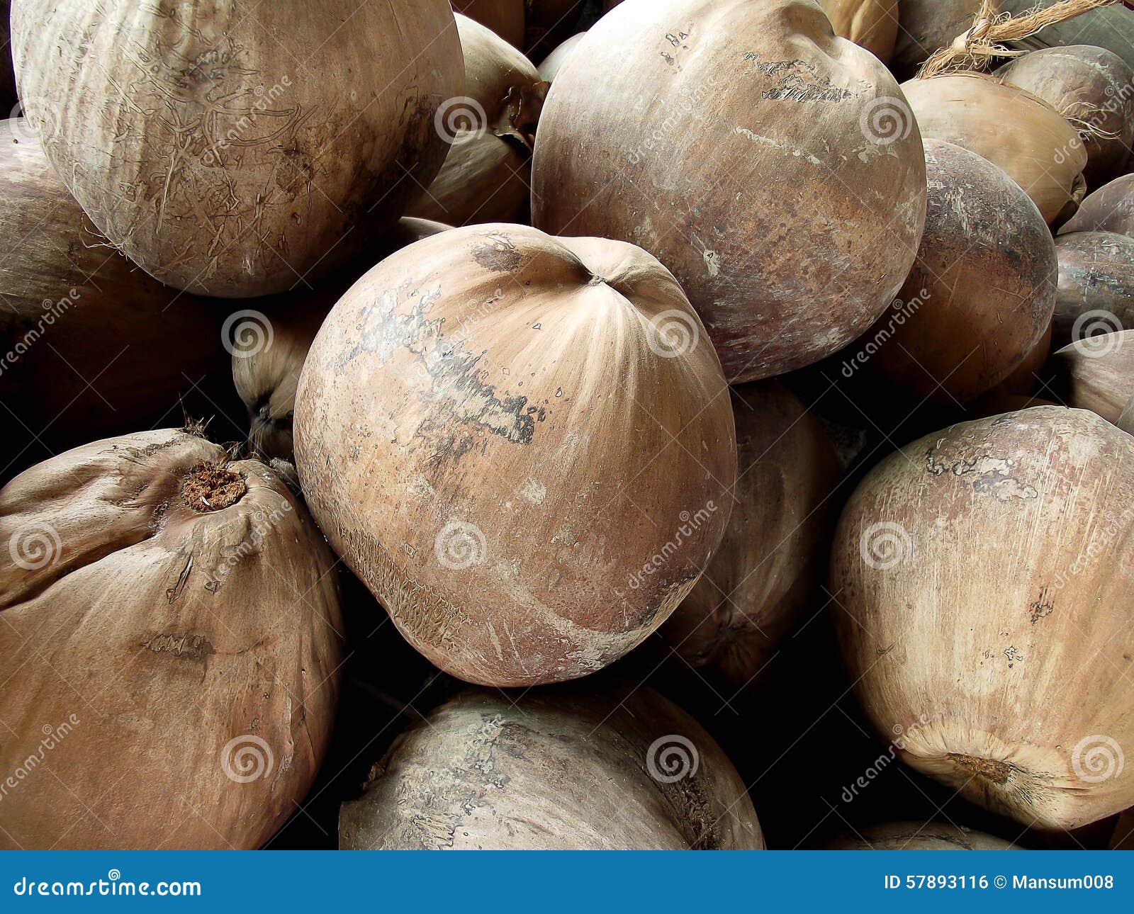 Dry coconut stock photo. Image of grunge, dried, ripe - 57893116