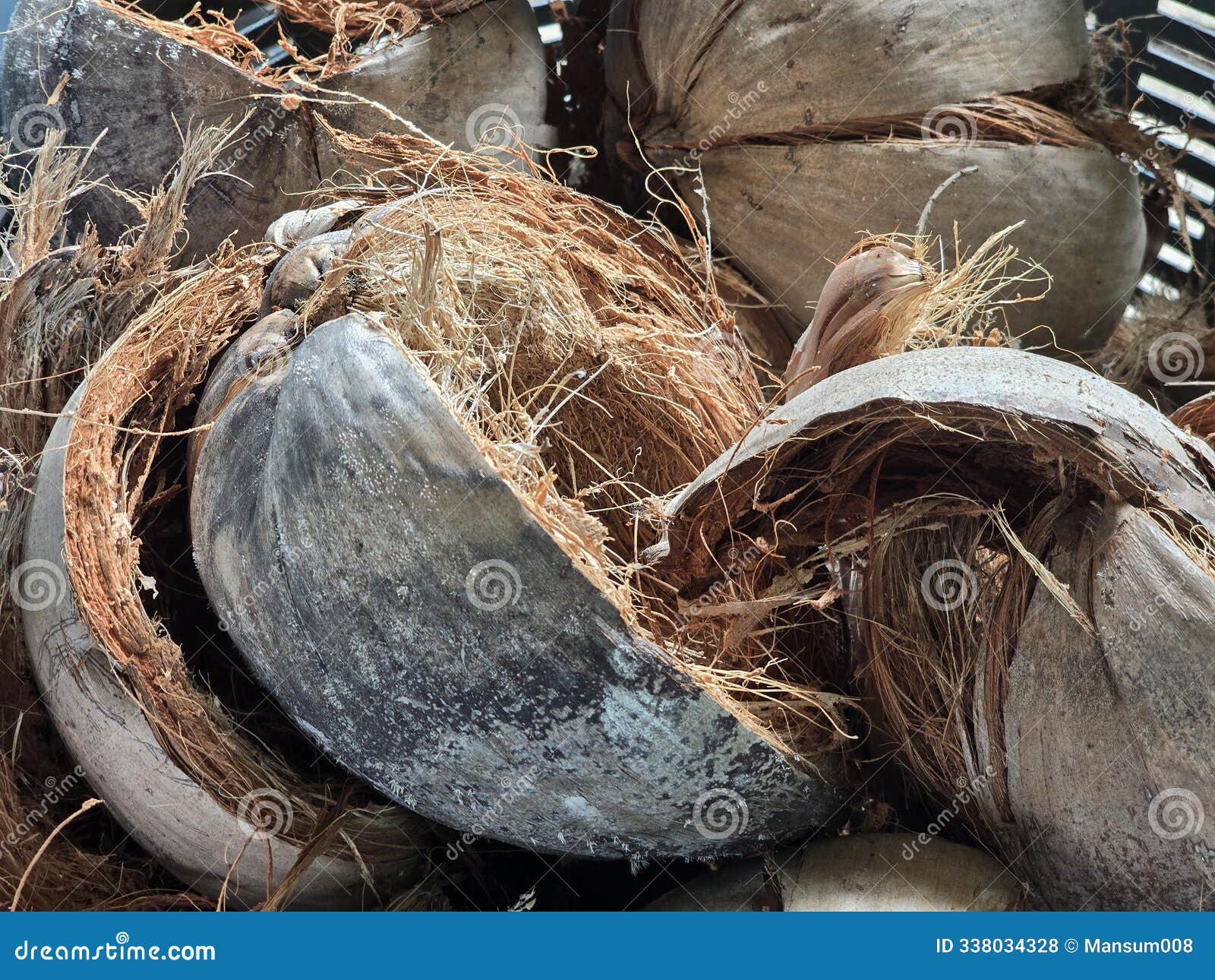 Dry Coconut Shell on the Ground Stock Photo - Image of coast, pattern ...