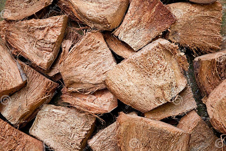 Dry coconut skin stock image. Image of keywords, work - 22462357