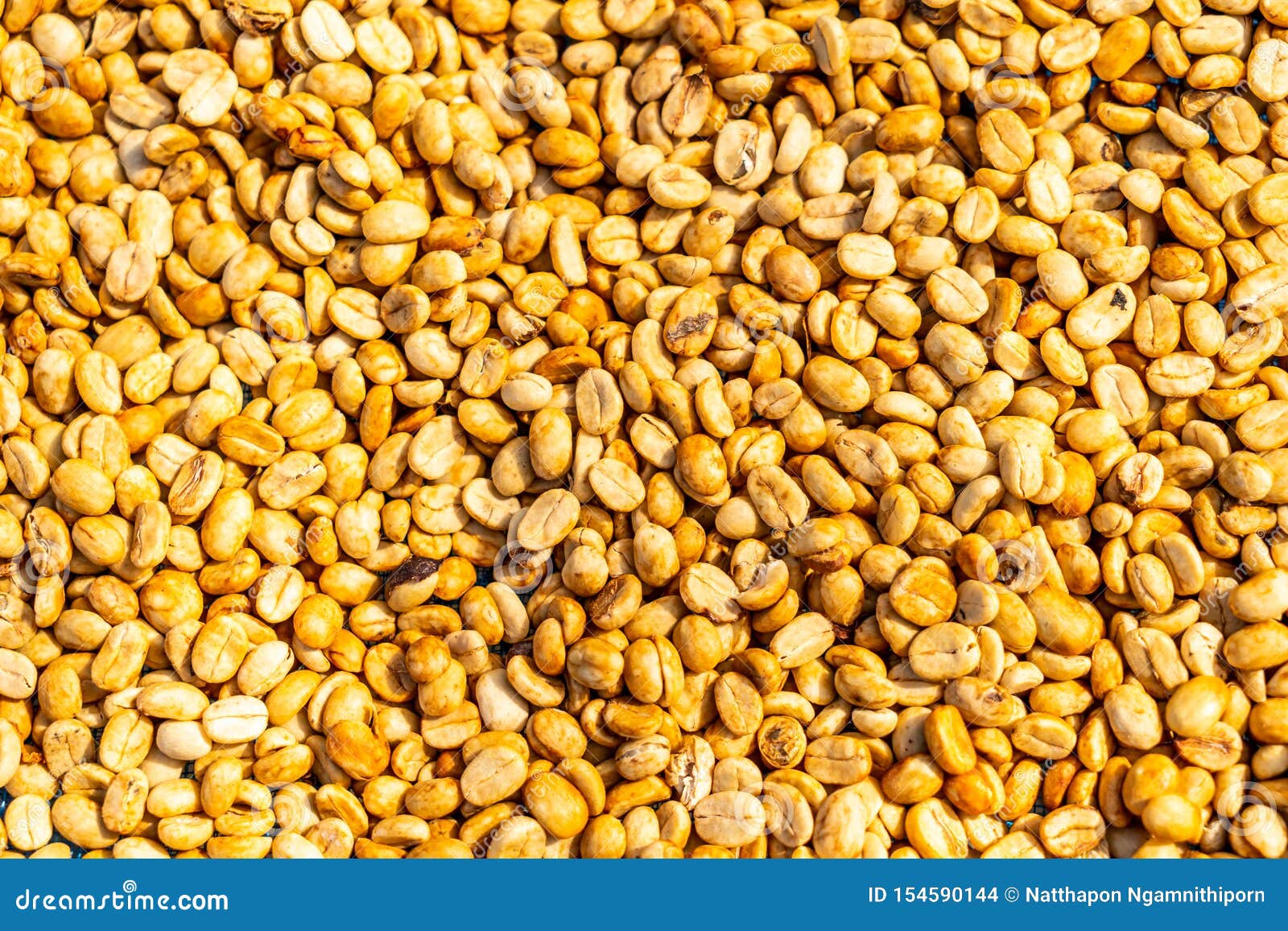 Dry Coffee Beans with Sunlight Stock Photo - Image of grain, process ...