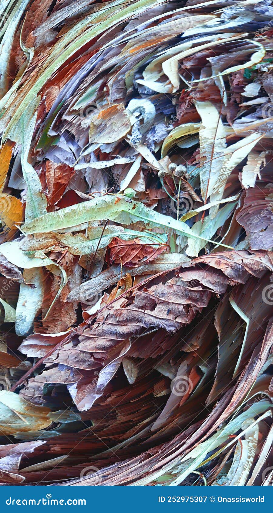 Dry Colored Leaves Nature Backgrounds Abstracts Stock Illustration ...