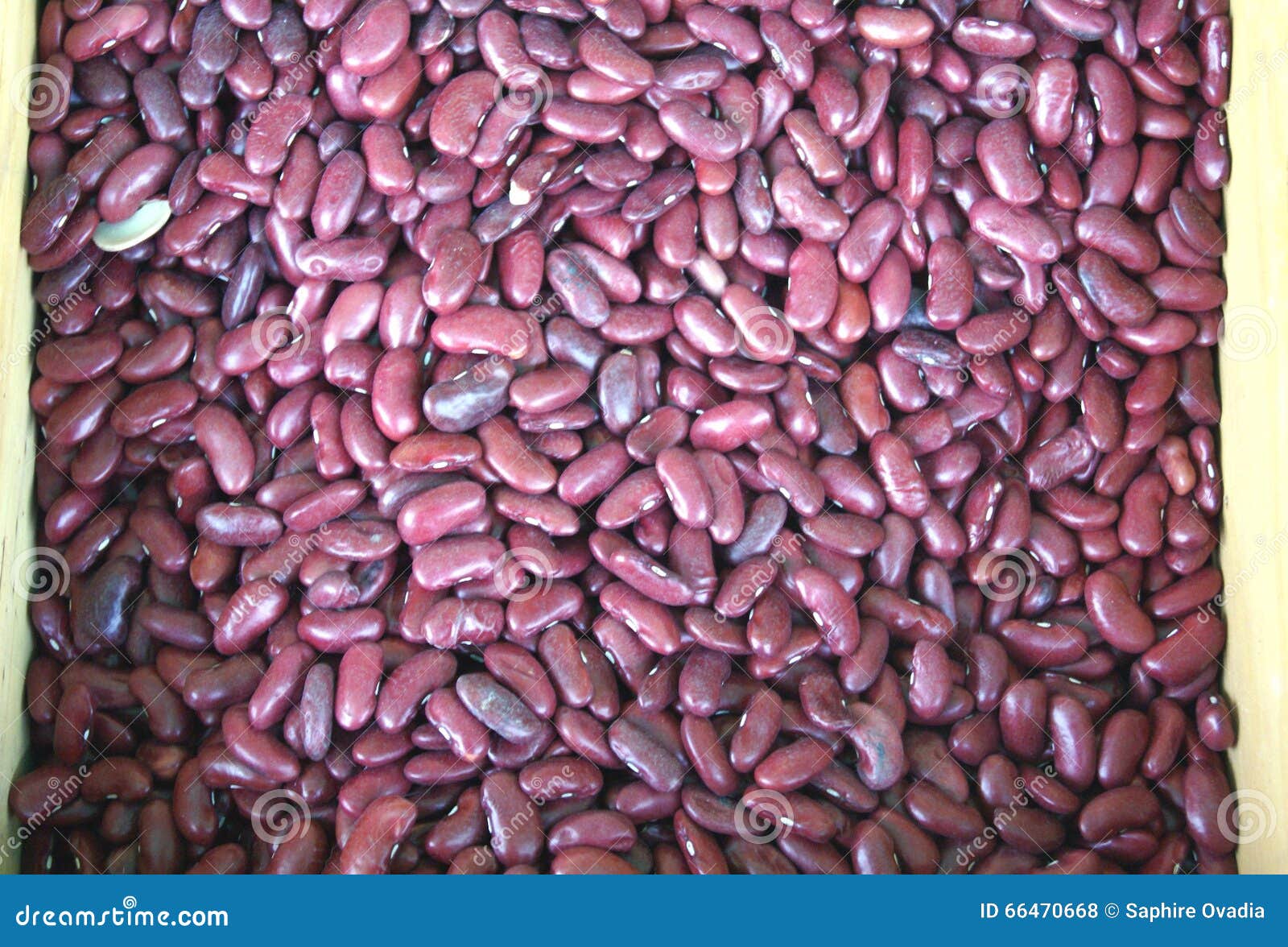 Dry common beans stock photo. Image of beans, grocery - 66470668