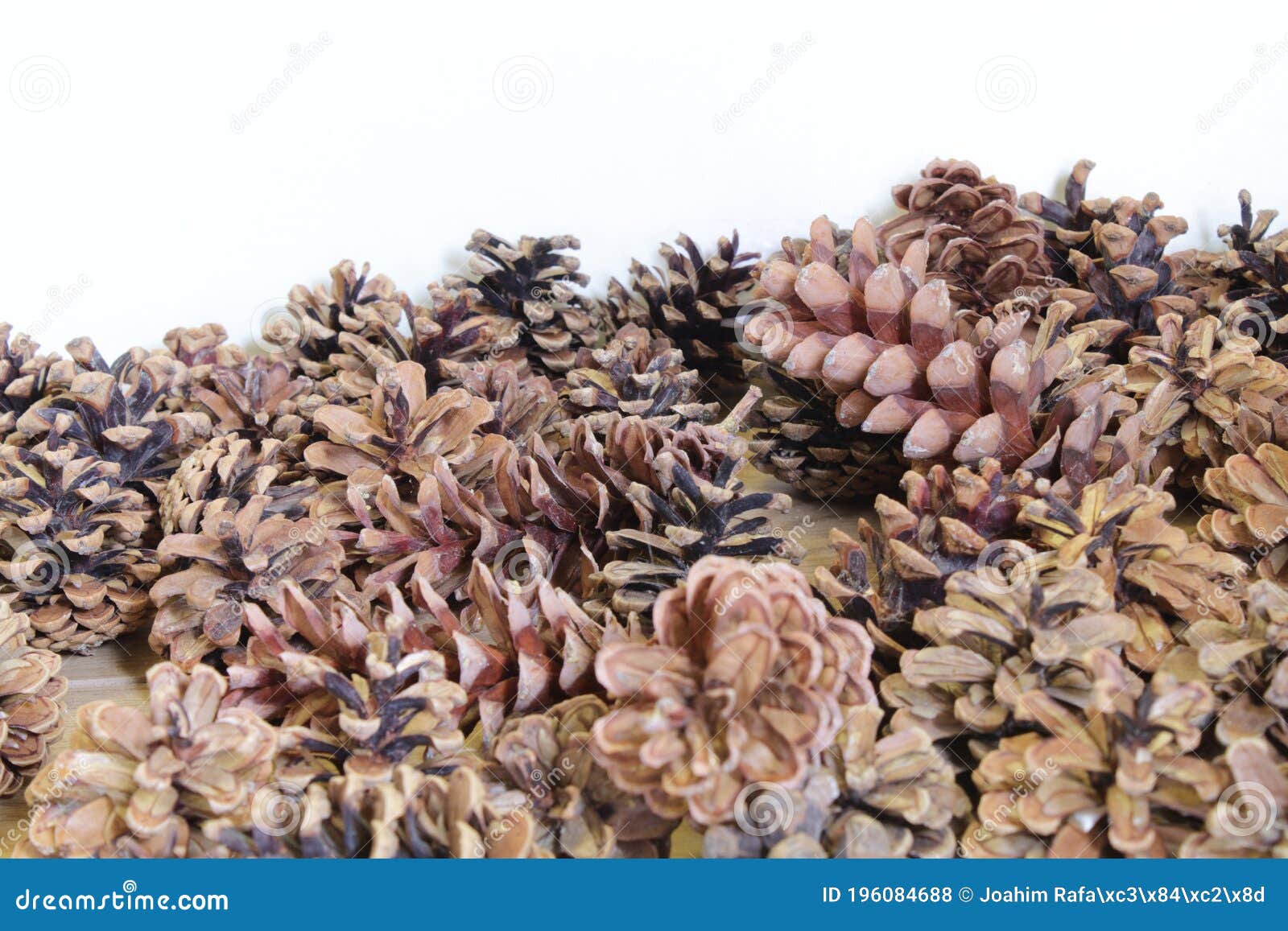 Dry Cones on a Wooden and White Background Stock Photo - Image of decor ...