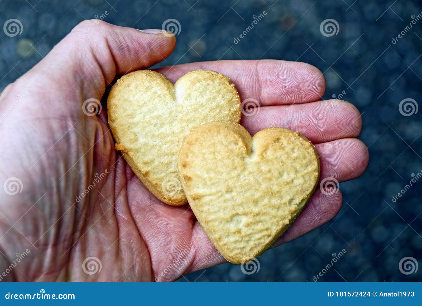 Two Dry Cookies in the Form of Hearts on the Palm Stock Photo - Image ...