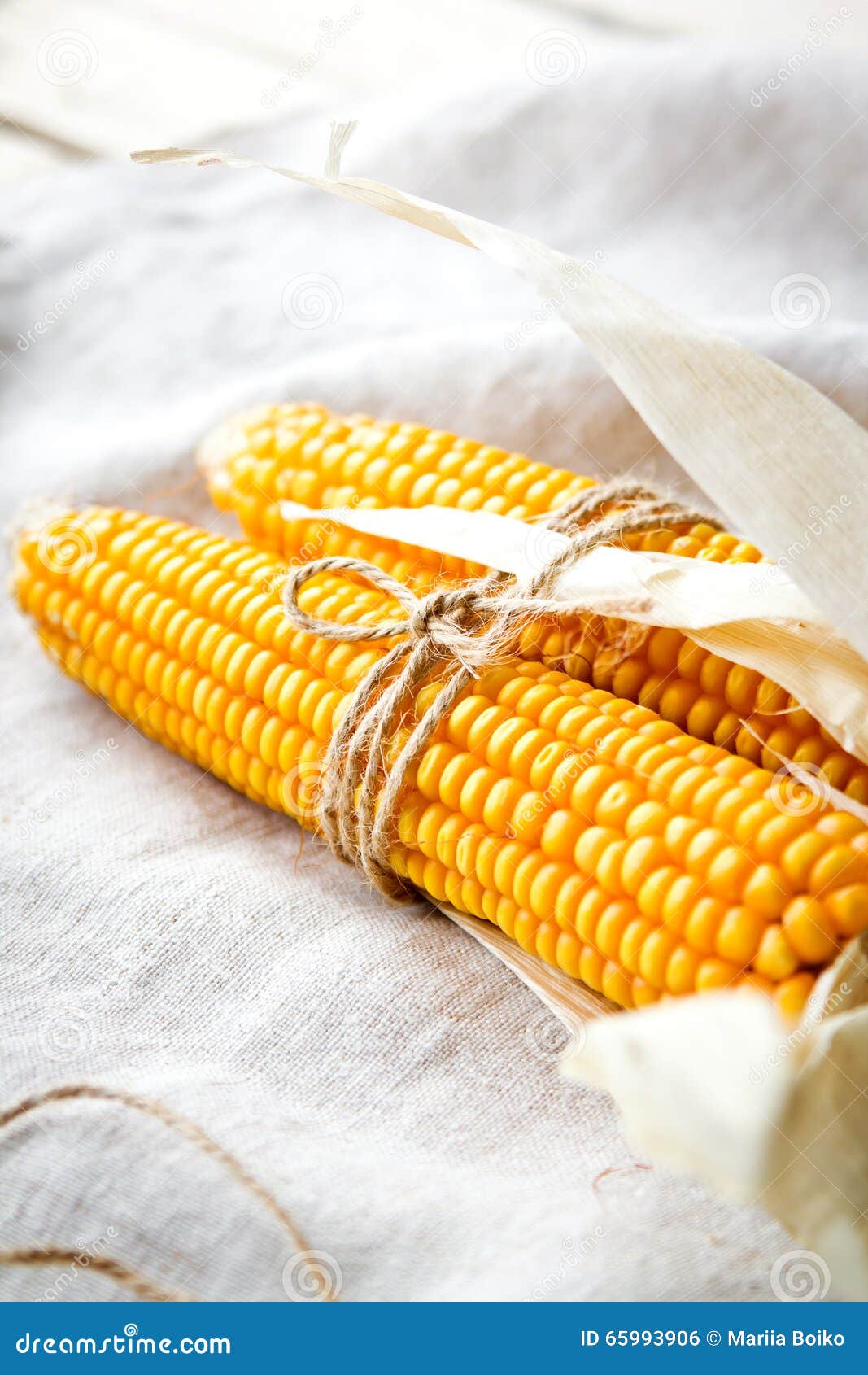 Dry corn cobs stock photo. Image of country, maize, grain - 65993906
