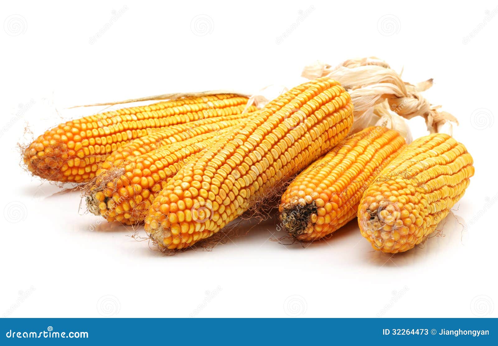 Dry corn stock image. Image of maize, agriculture, fresh - 32264473