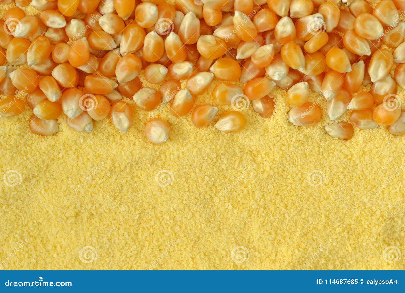 Dry Corn Kernels and Corn Flour Background Stock Image - Image of ...