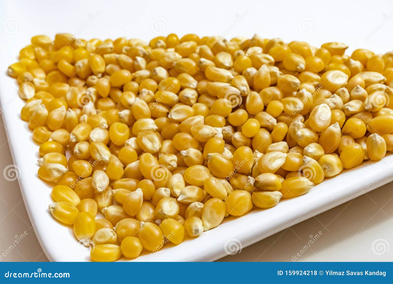 Dry corn kernels in plate. stock photo. Image of grain - 159924218