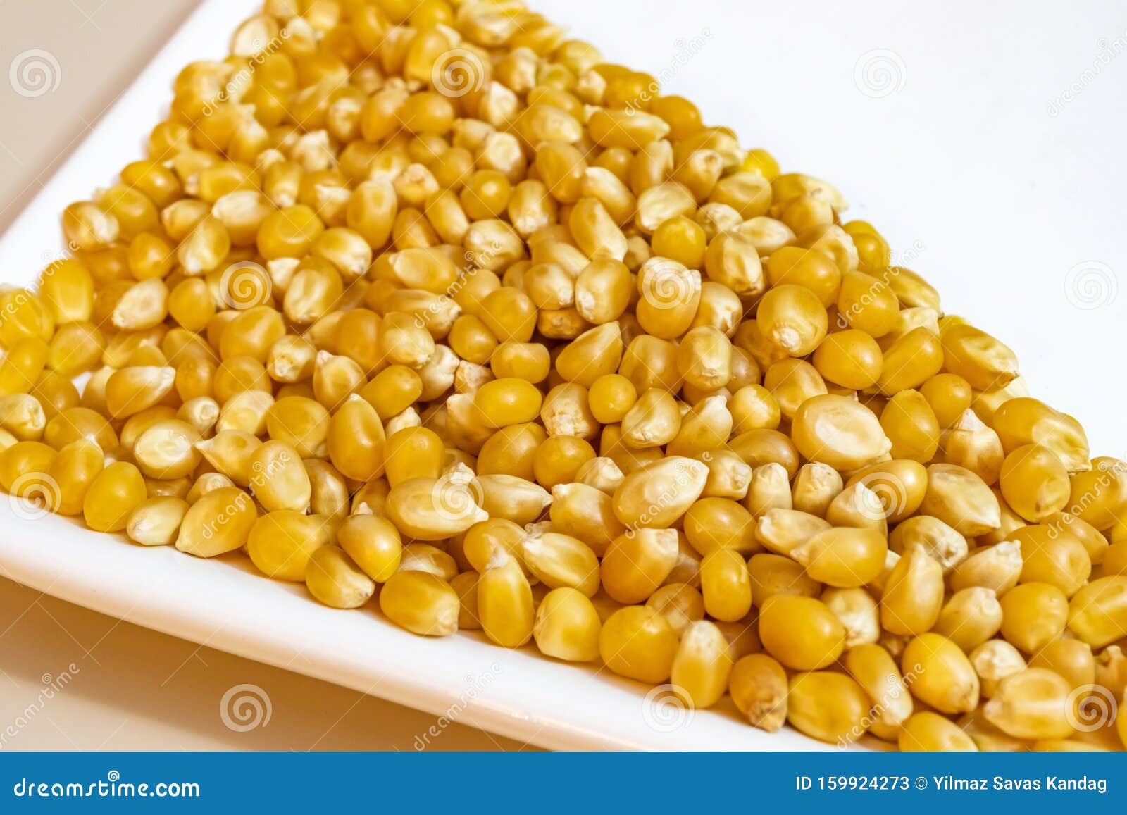 Dry corn kernels in plate. stock image. Image of group - 159924273