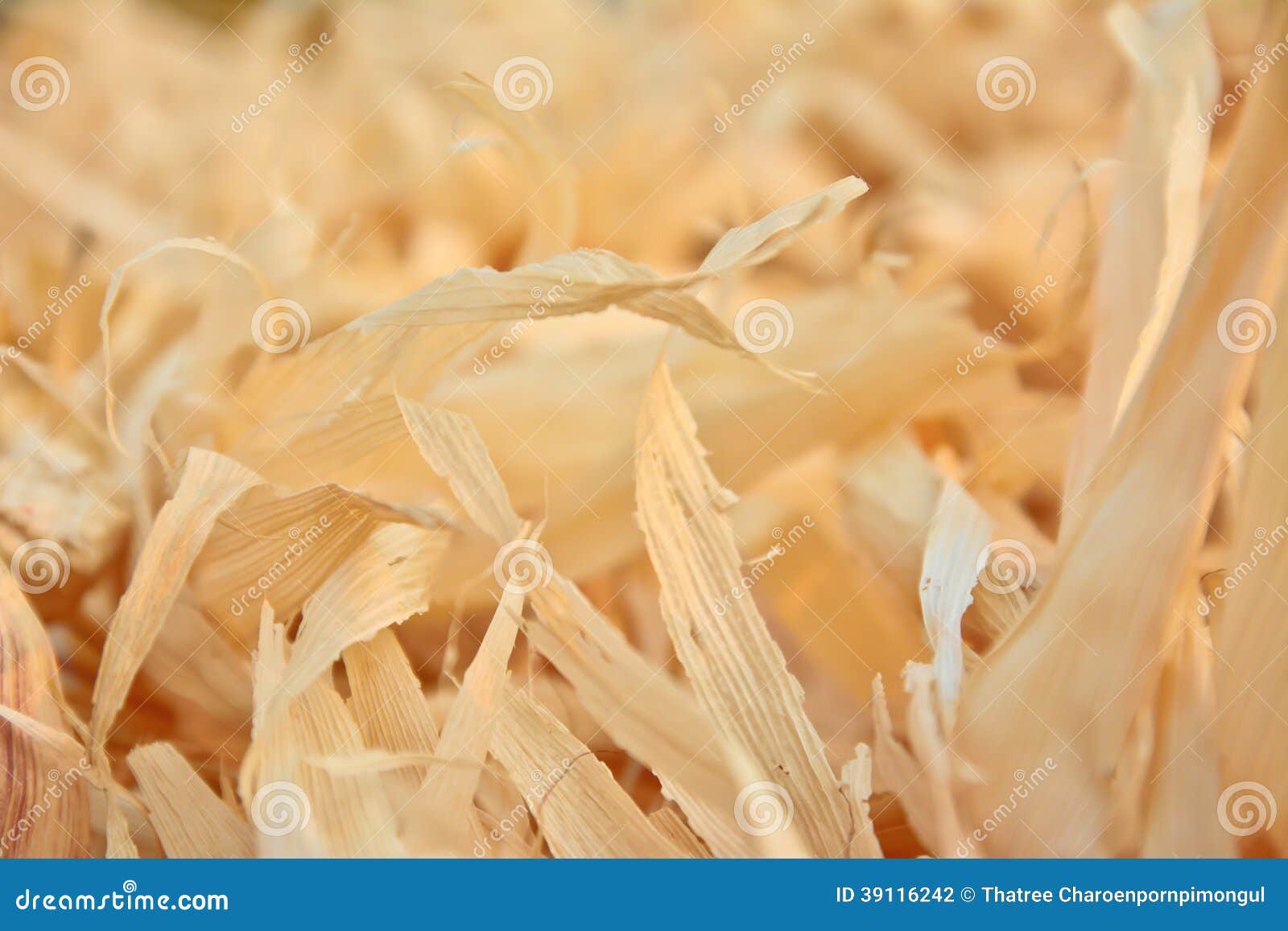 Dry Corn Leaves ; Maybe for Background Stock Photo - Image of farm ...