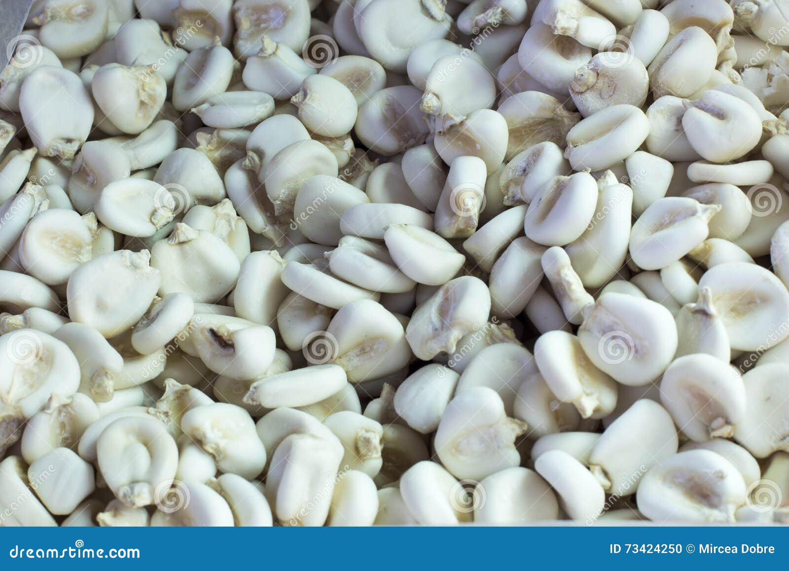 Dry Corn ( Mote Popular Name in Spanish), Grass Grown in Peru Stock ...