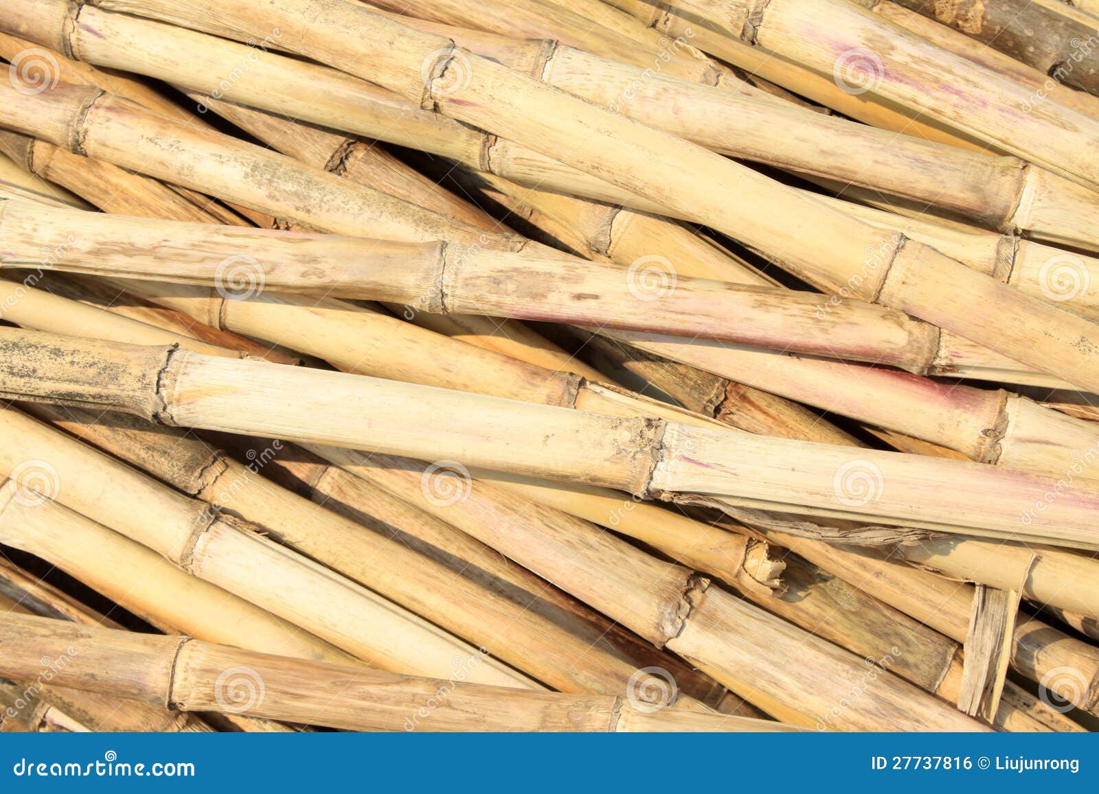 Dry Corn Straw Royalty Free Stock Image - Image: 27737816