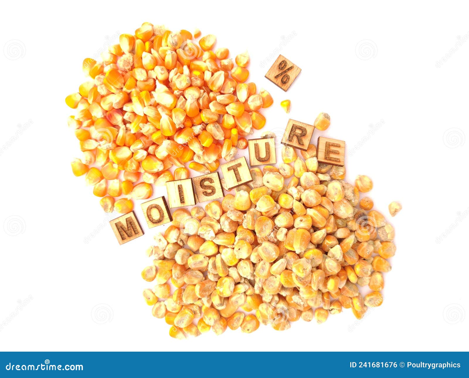 Dry Corn Versus High Moisture Corn, Mycotoxin, Poultry Feed Stock Photo ...