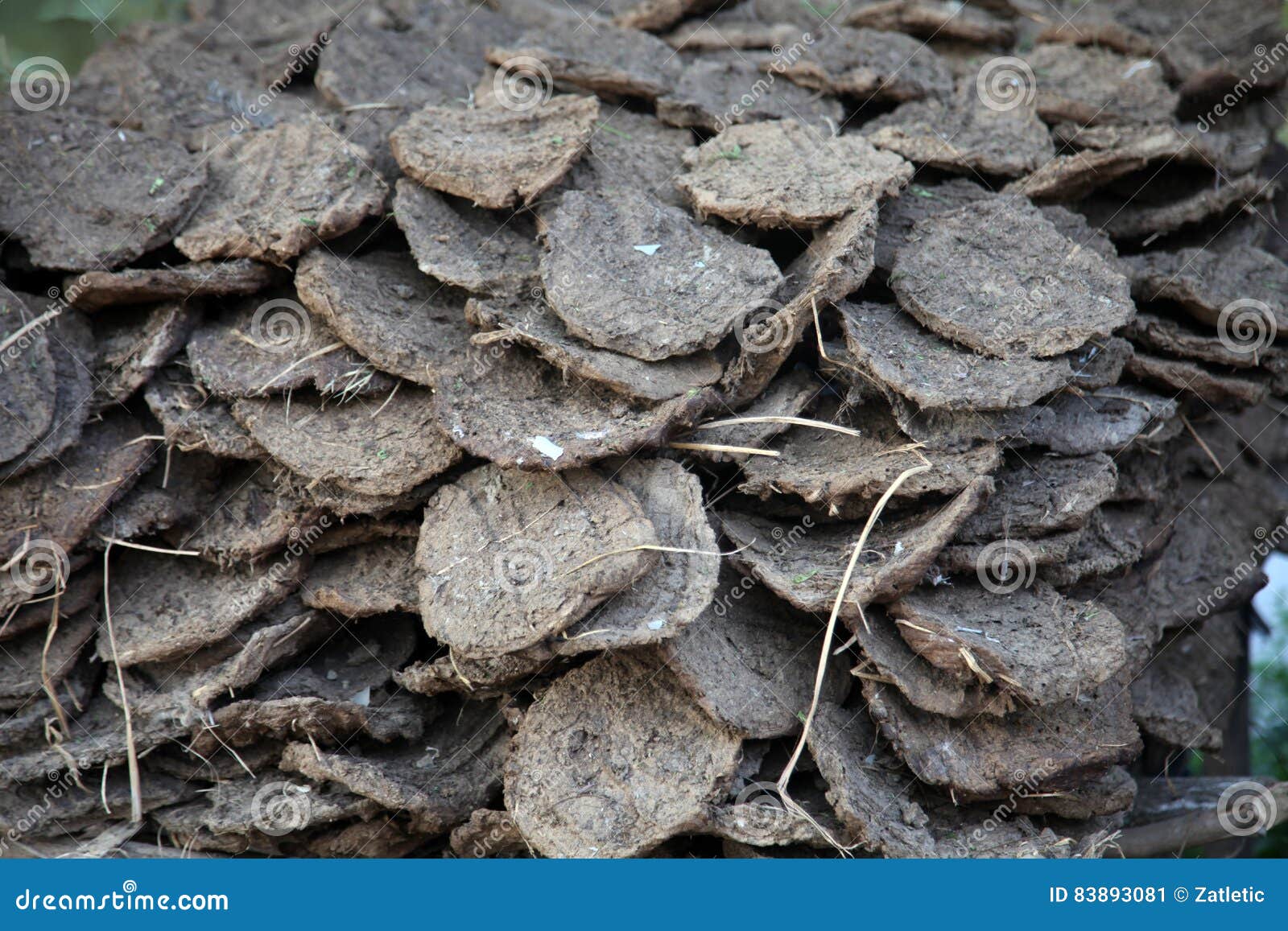 Dry cow dung stock image. Image of pattern, manure, muck - 83893081