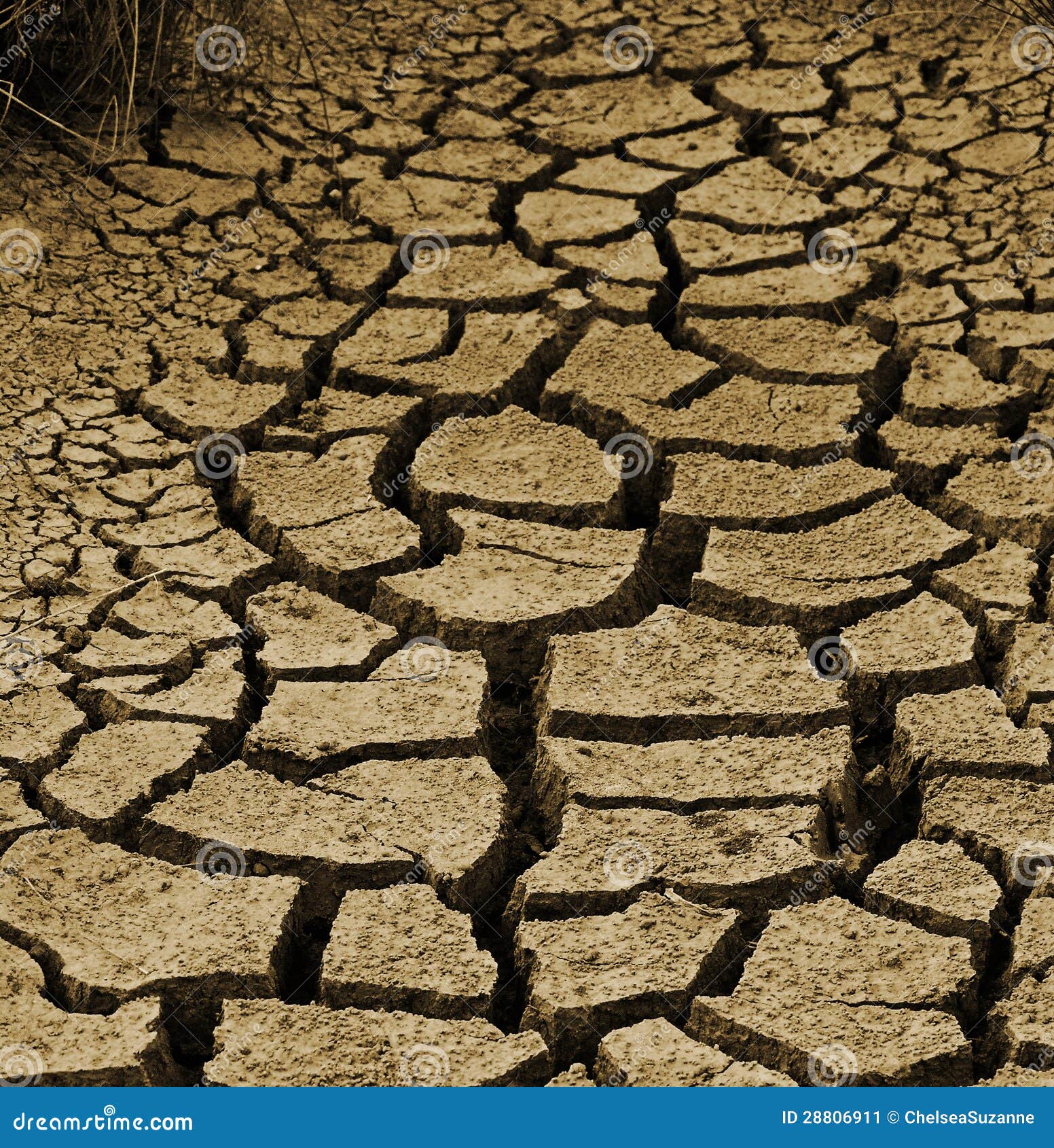 Dry Cracked Australian Dirt during a Drought Stock Image - Image of ...