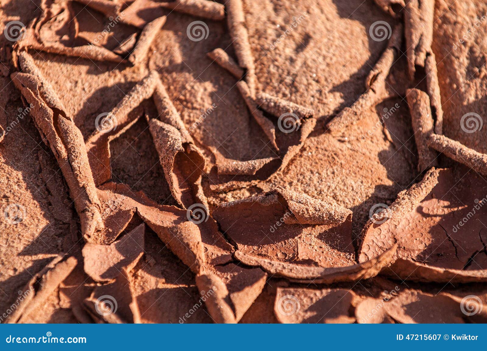 Dry Cracked Bottom of a Lake Textured Background Stock Image - Image of ...