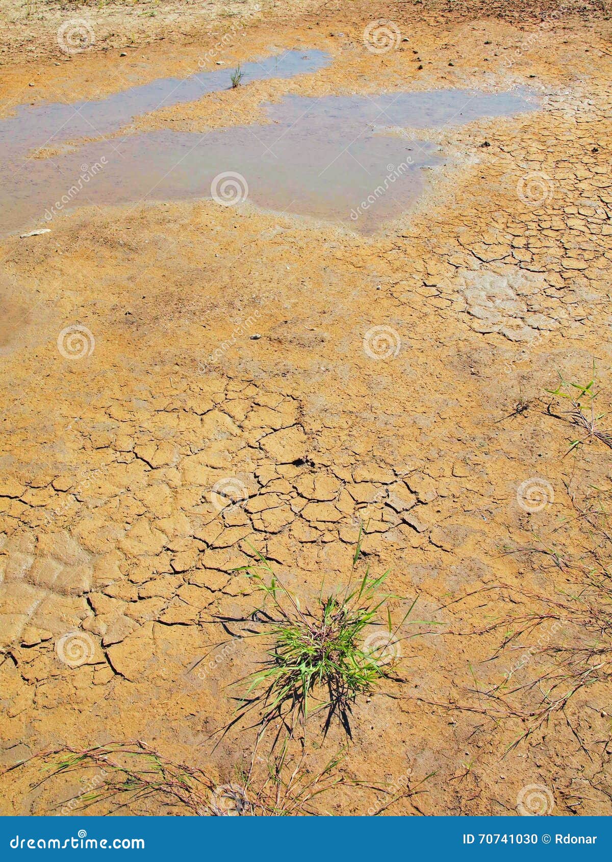 Dry Cracked Clay of Wheat Field. Dusty Cracked Ground Stock Photo ...