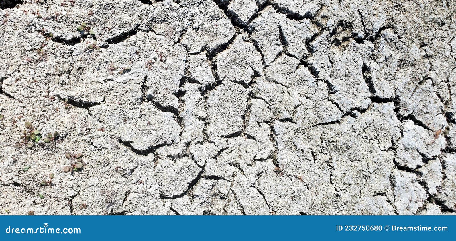 Dry and Cracked Desert Ground from the GrassLands Stock Photo - Image ...