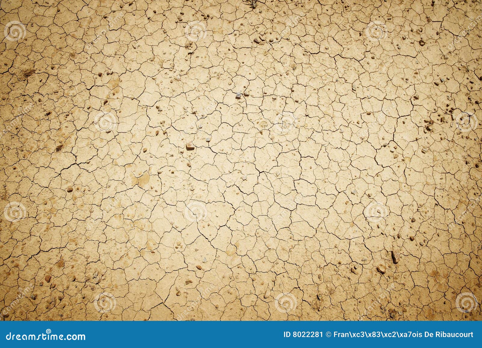 Dry cracked dirt stock image. Image of random, abstractly - 8022281