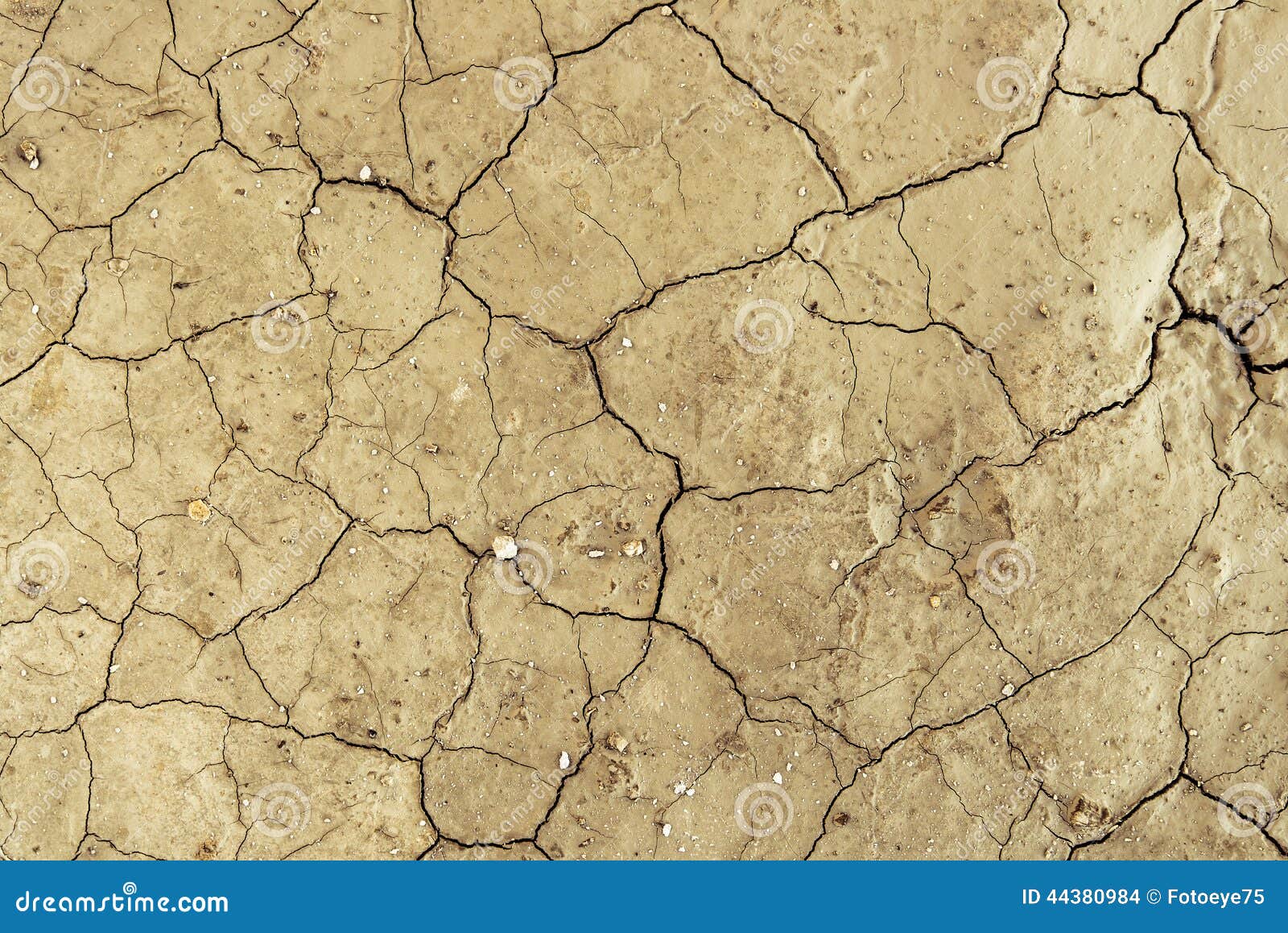 Dry Cracked Dirt Desert Background Texture Pattern Stock Photo - Image ...