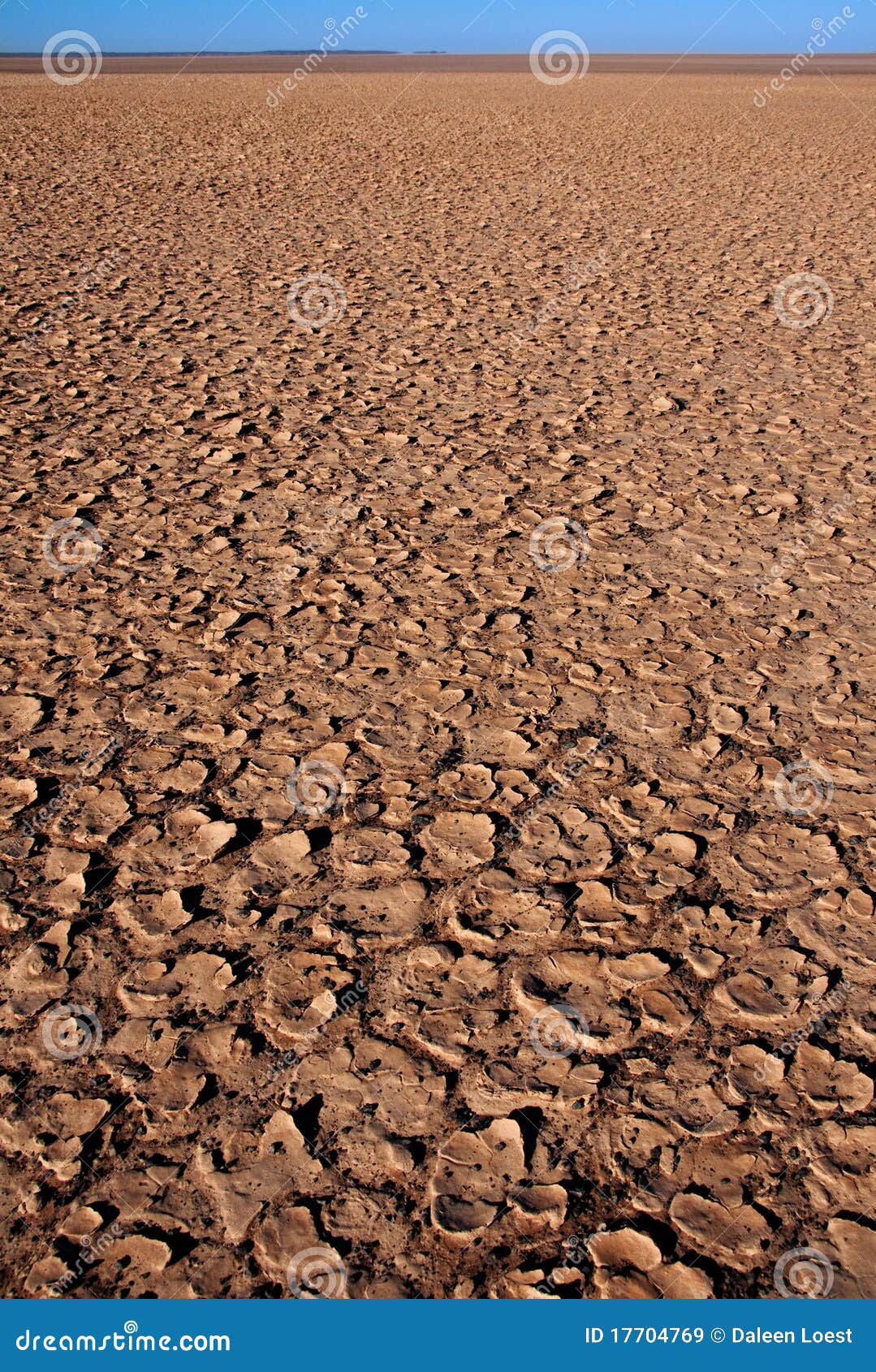 Dry Cracked Dirt Desert Background Texture Pattern Royalty-Free Stock ...