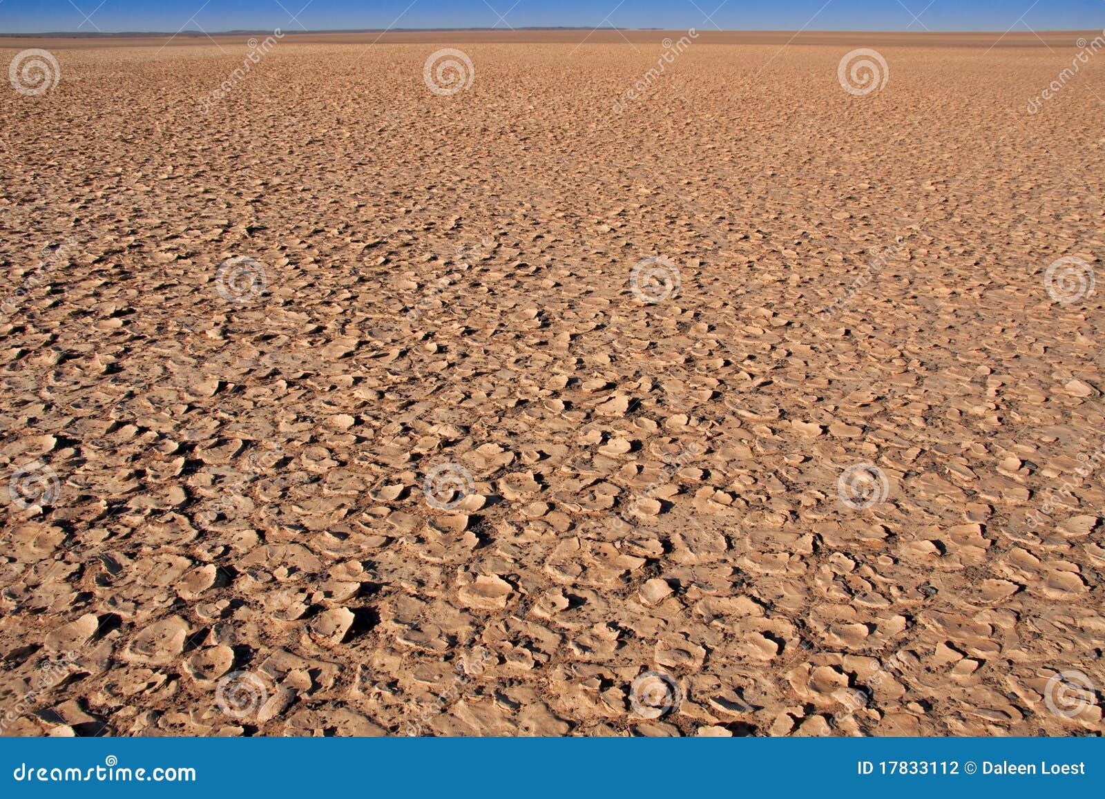 Dry cracked dirt surface stock photo. Image of verneukpan - 17833112