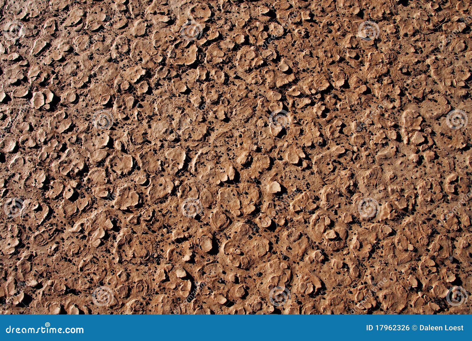 Dry cracked dirt surface stock photo. Image of verneukpan - 17962326
