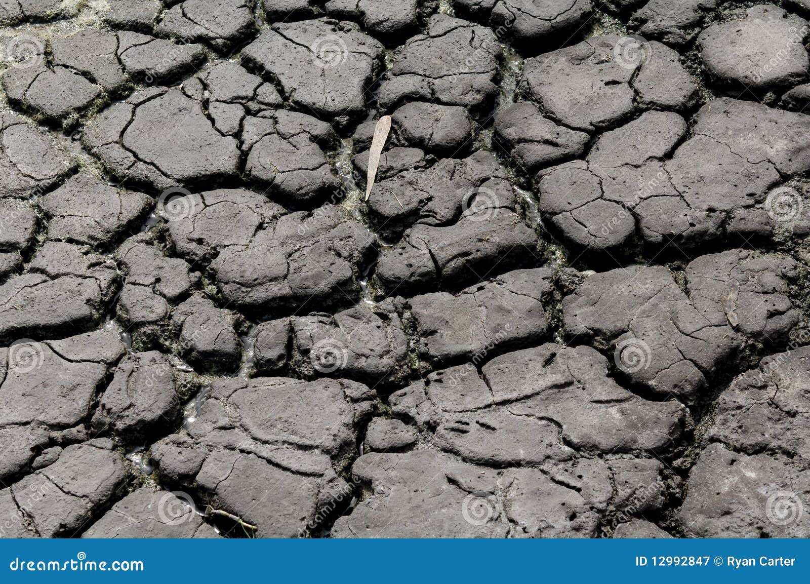 Dry Cracked Earth stock image. Image of detail, dead - 12992847