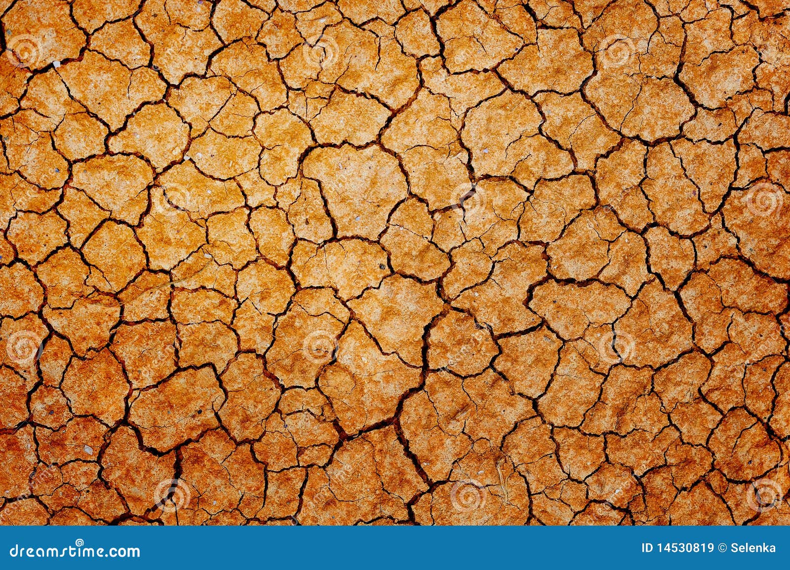 The Cracked Earth Of A Drought-stricken Lake Bed Stock Photography ...