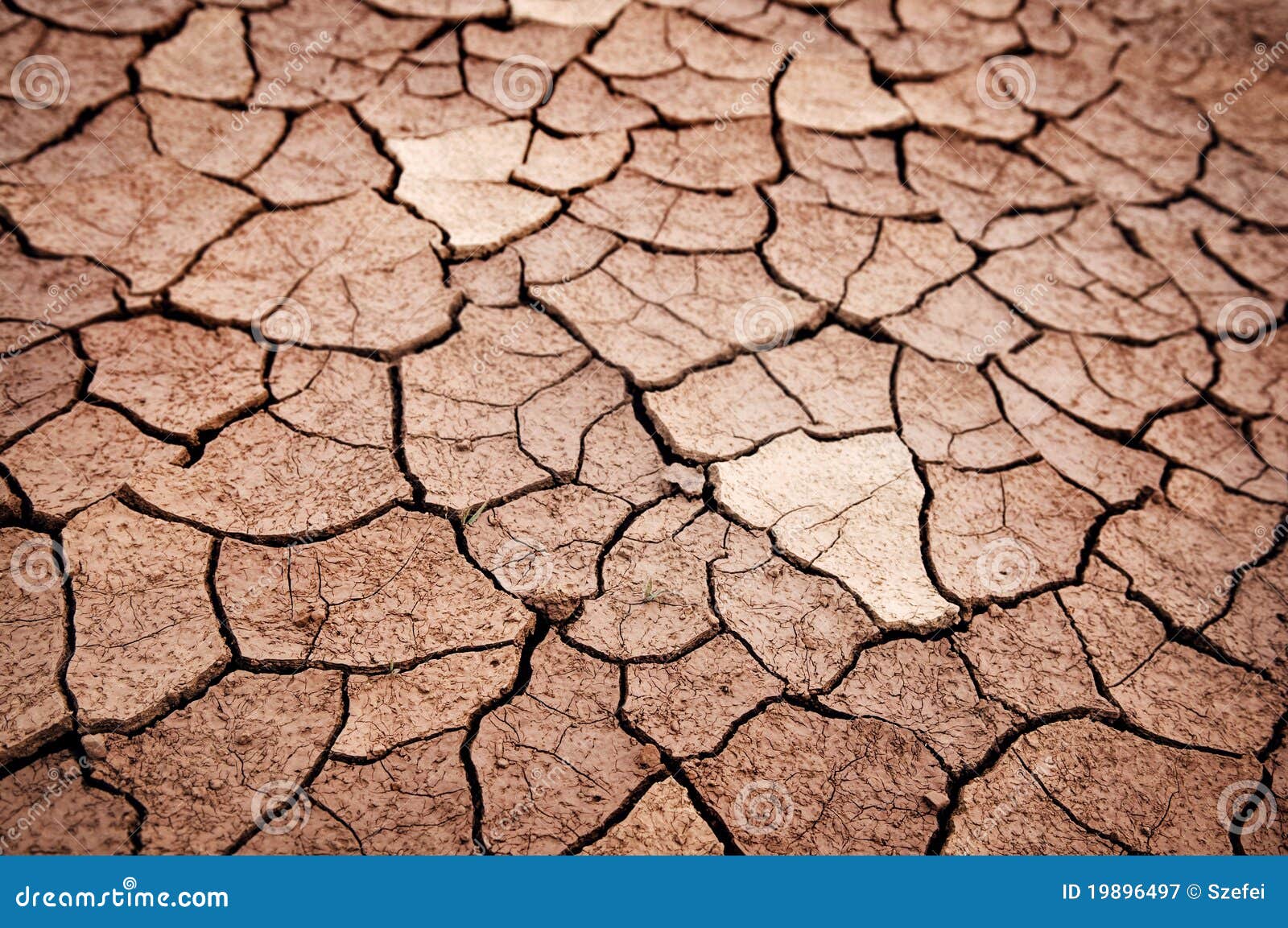 Dry cracked earth stock image. Image of global, detail - 19896497