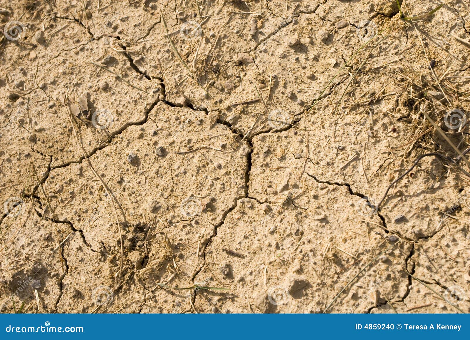 Dry Cracked Earth stock photo. Image of concerns, barren - 4859240
