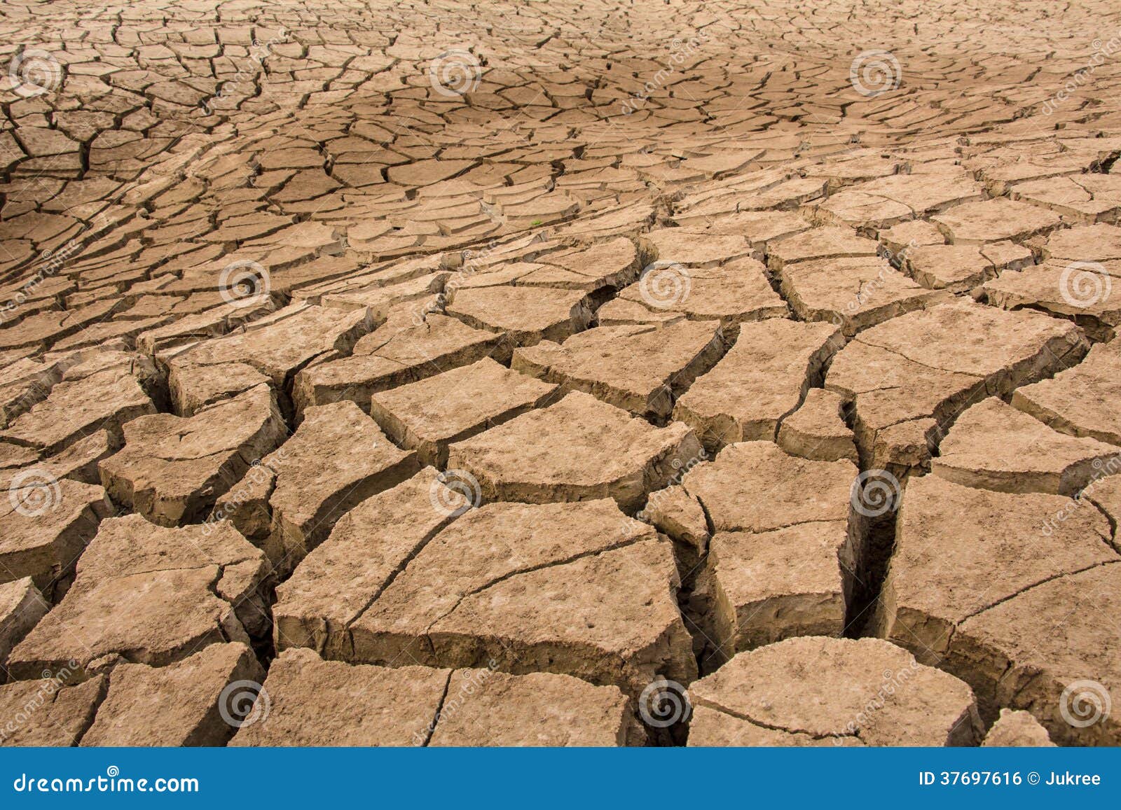 Dry Cracked Earth Background Stock Photo - Image of detail, earth: 37697616