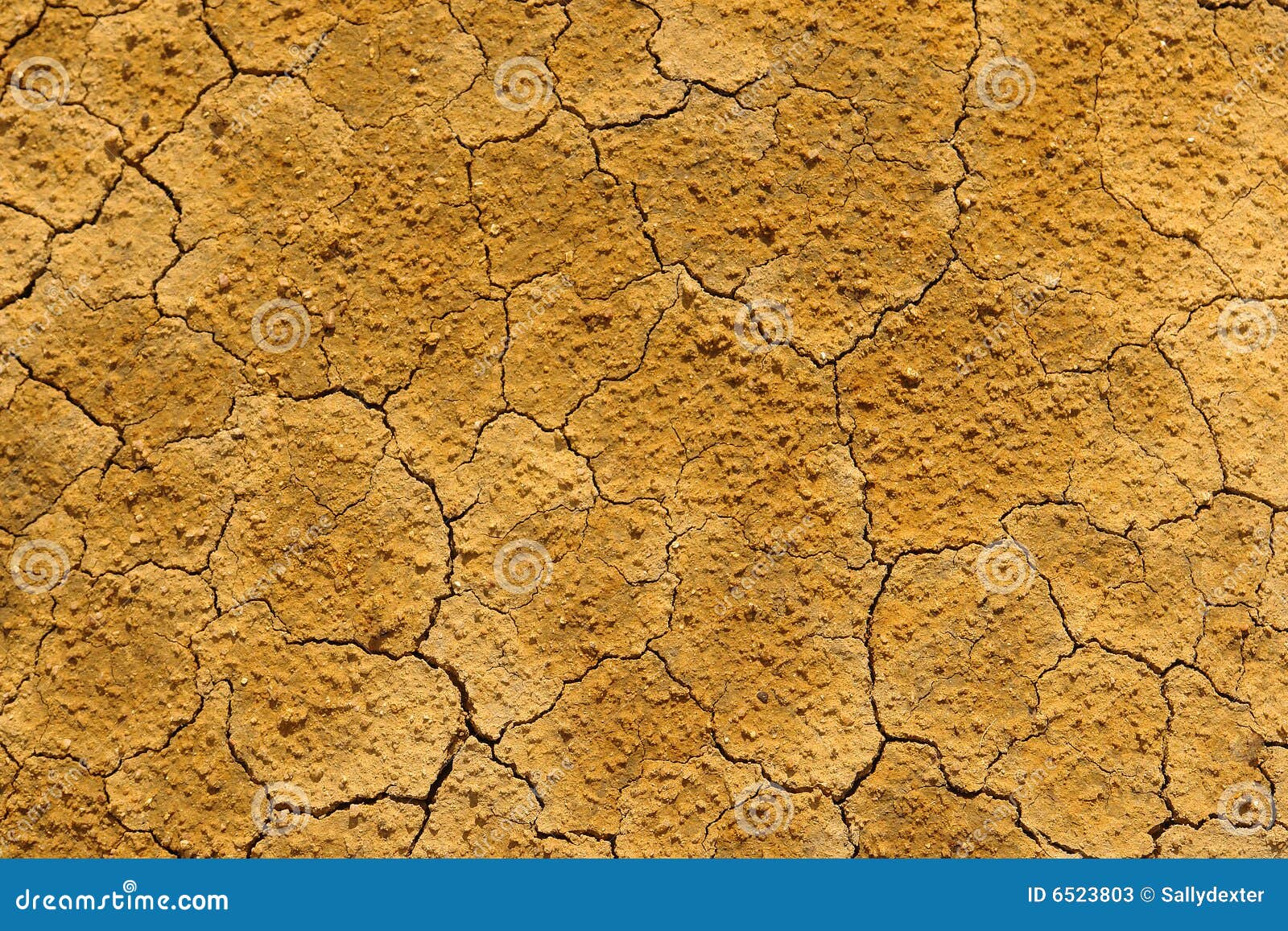 Dry Cracked Earth in Drought Stock Image - Image of dirt, cracked: 6523803