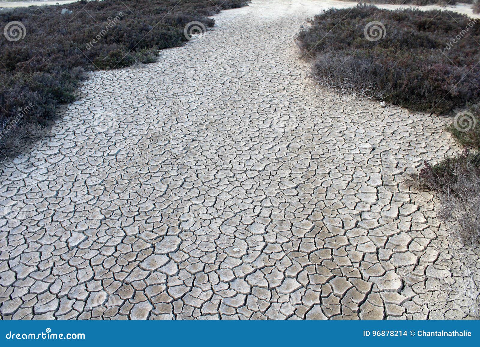 Dry and cracked earth stock photo. Image of outdoor, climate - 96878214