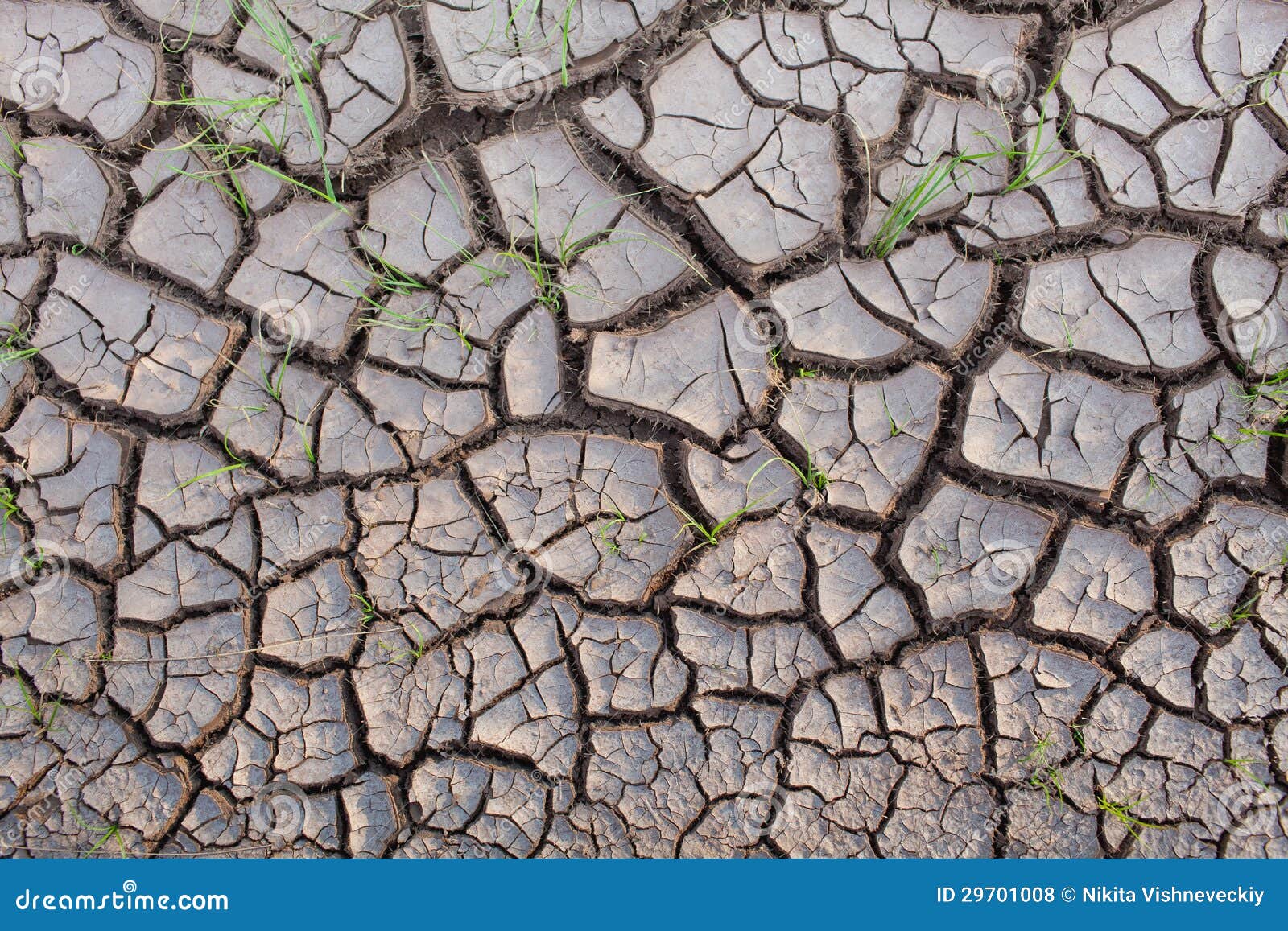 Dry land stock photo. Image of drought, land, cleft, earth - 29701008