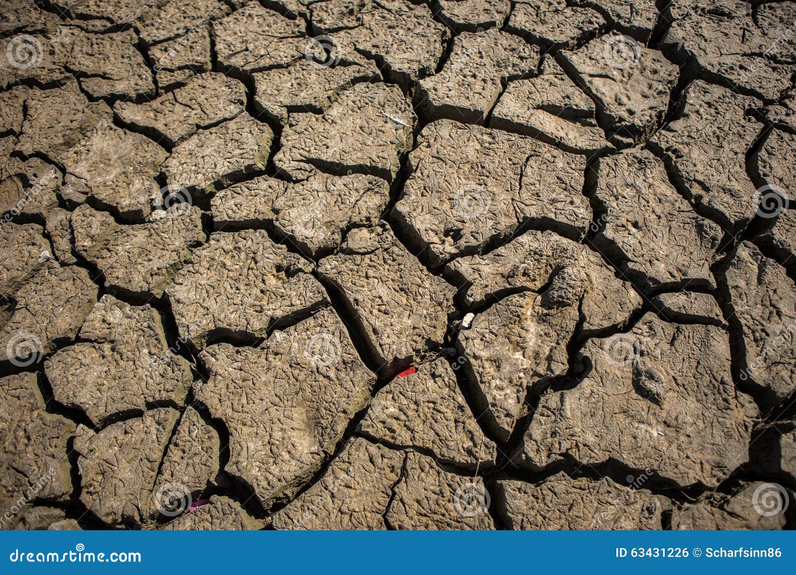 Dry cracked earth stock photo. Image of dramatic, landscape - 63431226