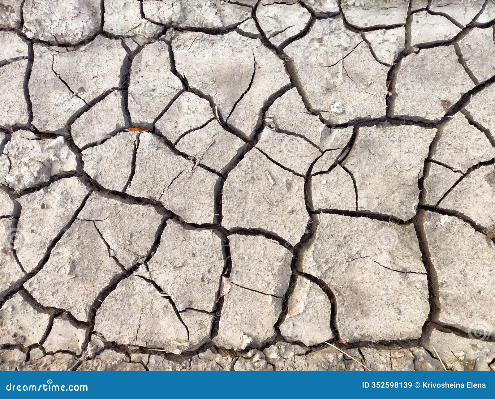 Dry Cracked Earth Reveals Texture and Patterns in a Drought-stricken ...