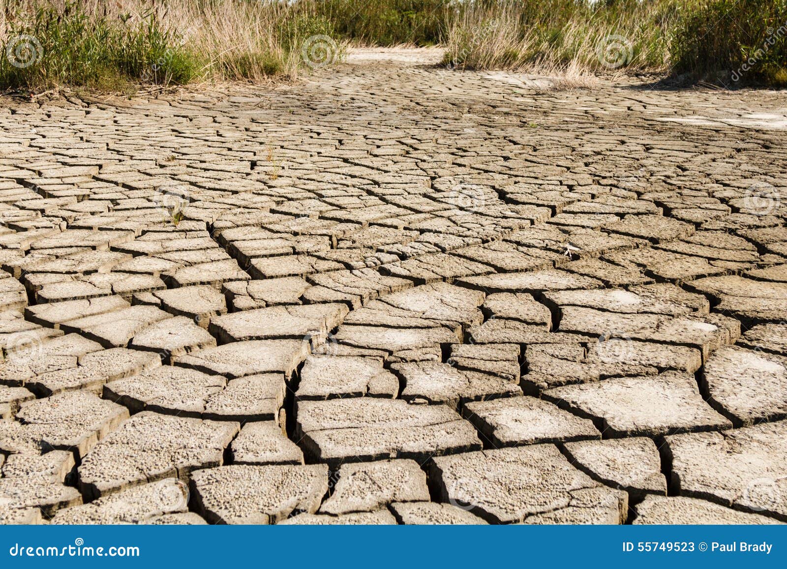 Dry Cracked Earth stock image. Image of dead, dirt, broken - 55749523