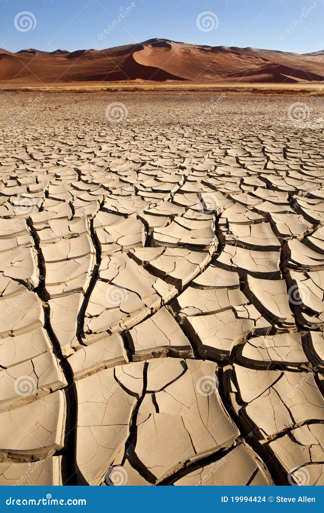 Dry Cracked Earth With Yellow Lift Stock Photography | CartoonDealer ...