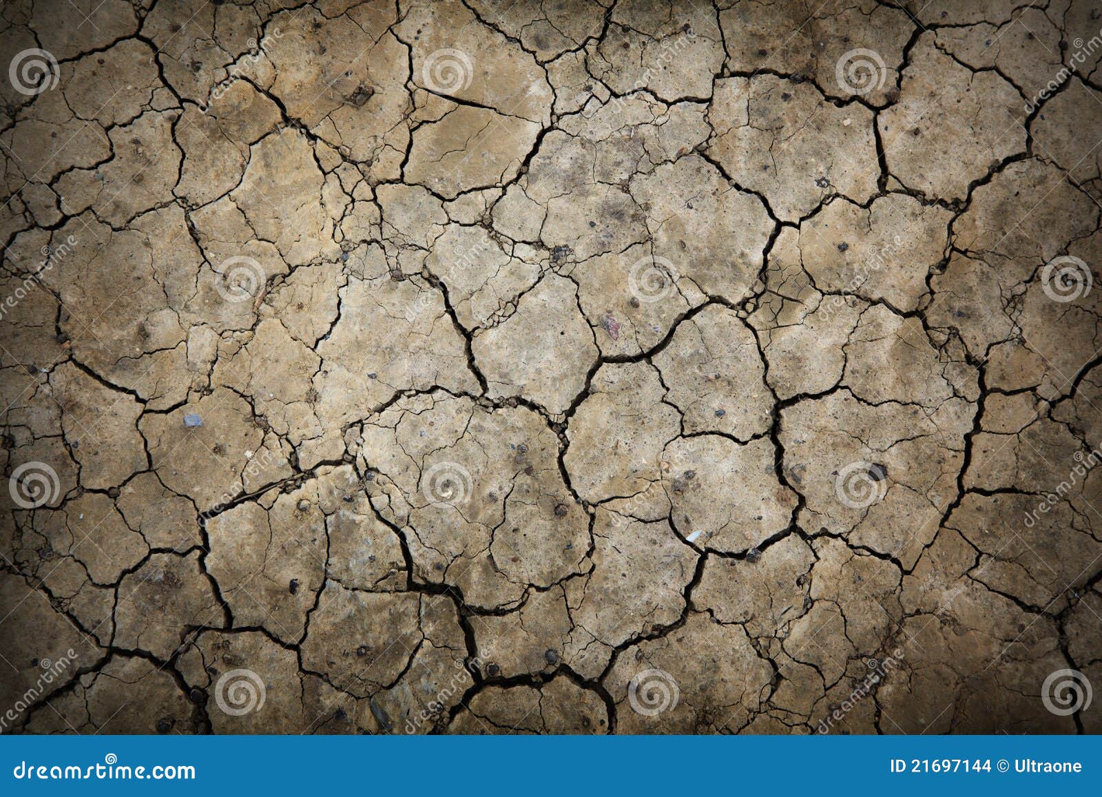 Dry cracked earth texture. stock photo. Image of detail - 21697144