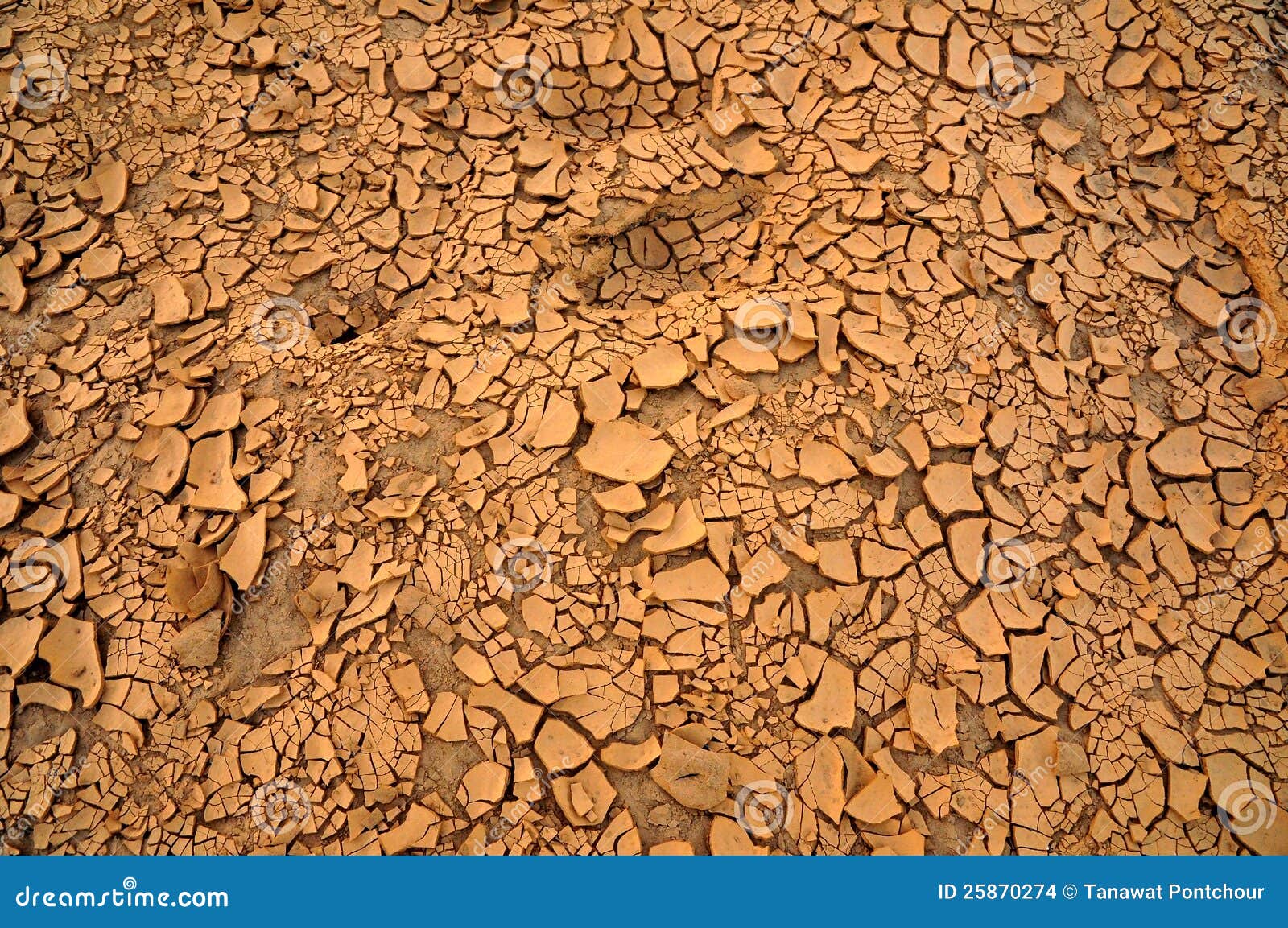 Dry cracked earth texture stock photo. Image of environmental - 25870274