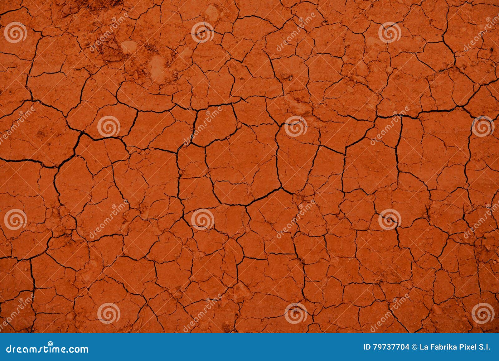 Dry cracked earth texture stock photo. Image of agriculture - 79737704