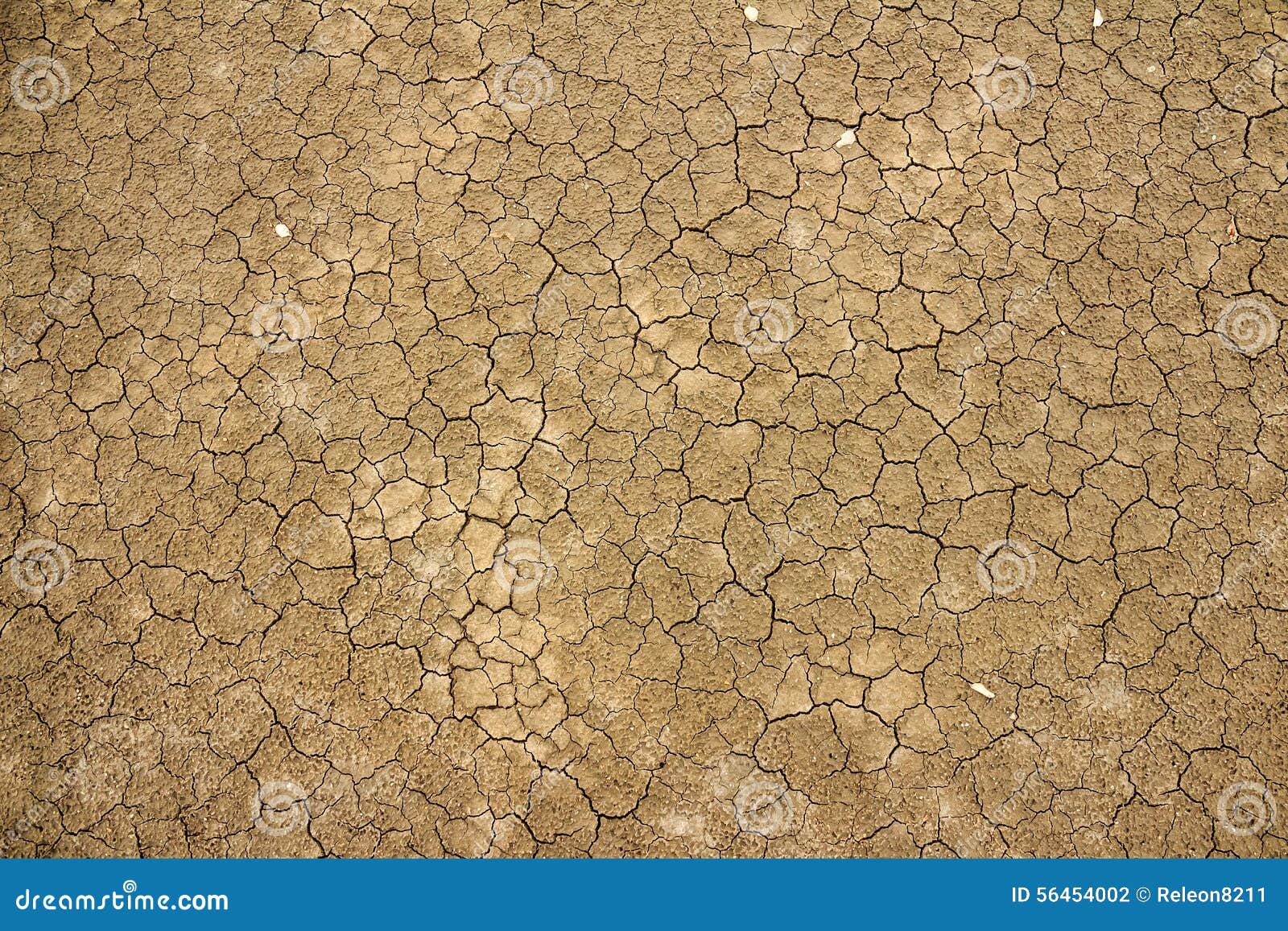 Dry cracked earth texture stock photo. Image of backdrop - 56454002